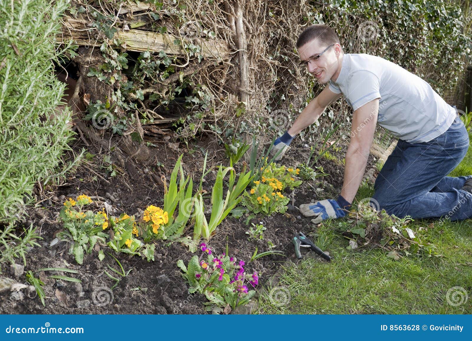 Young Man Gardening 1 stock photo. Image of secateurs - 8563628