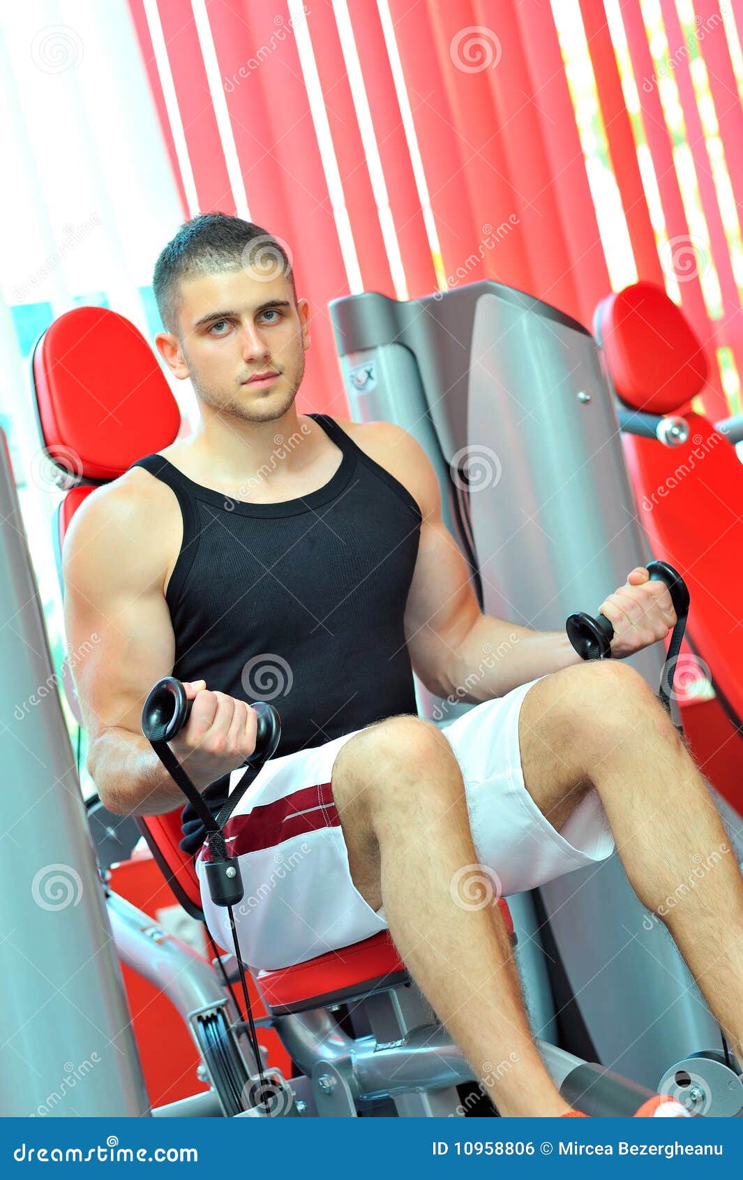 Young man in the gym stock photo. Image of indoor, athletic - 10958806