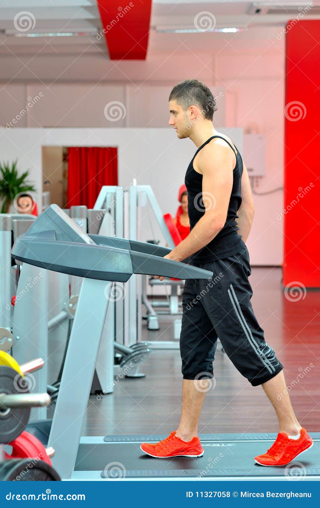 Young man in the gym stock photo. Image of strong, fitness - 11327058