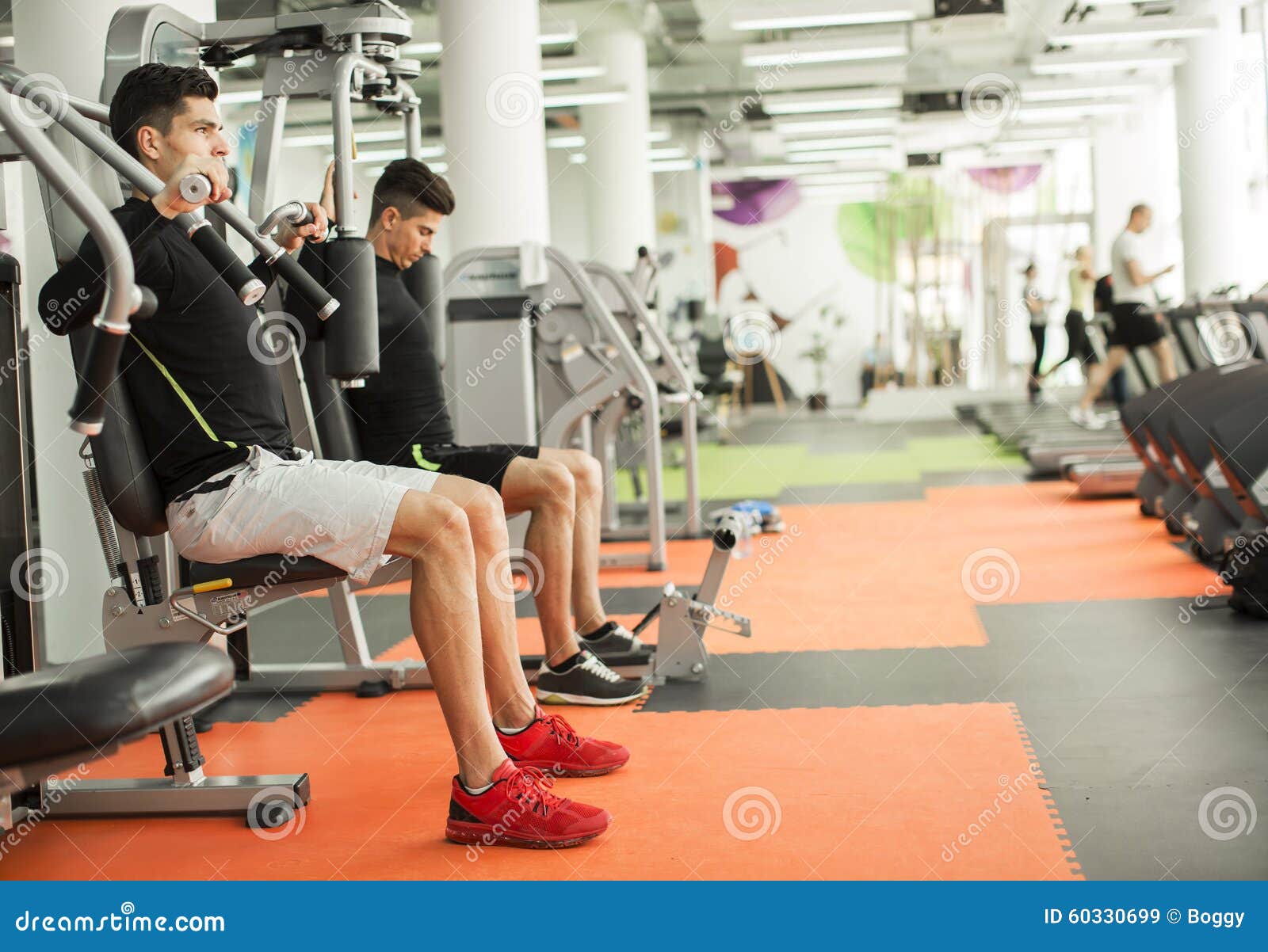 Young man in the gym stock image. Image of sportsman - 60330699