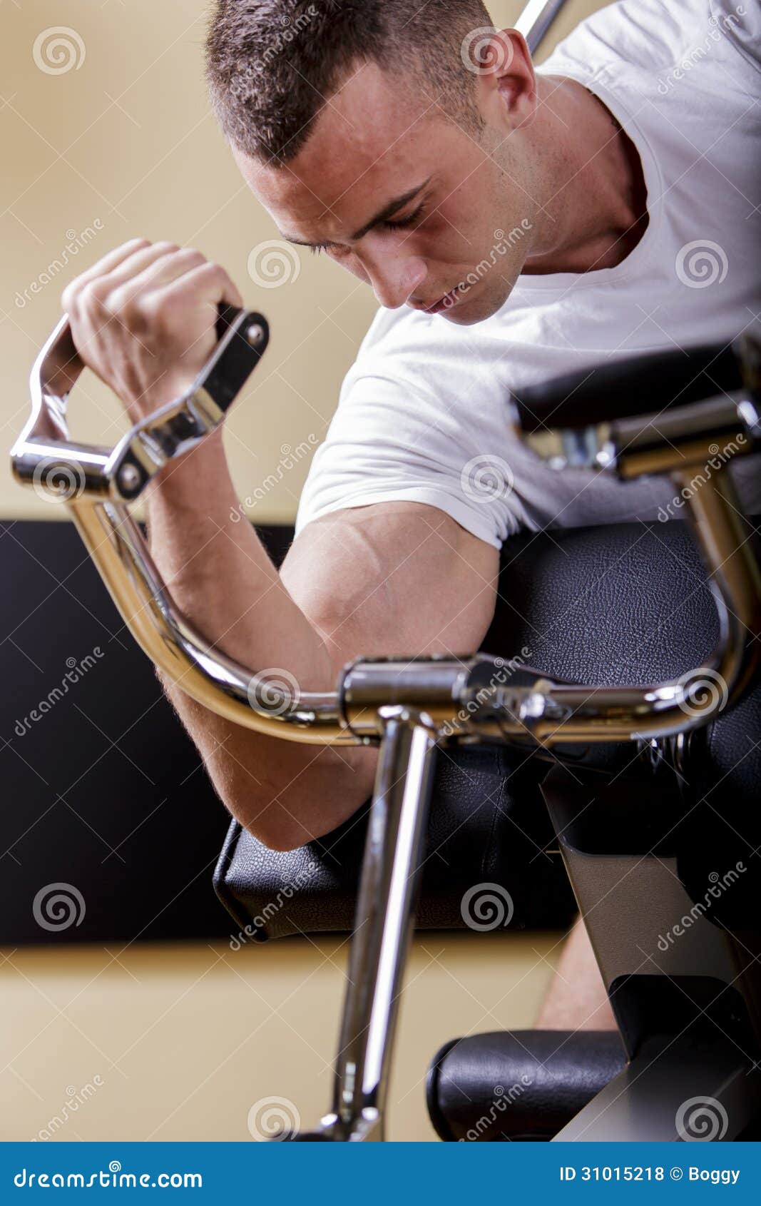 Young man in the gym stock photo. Image of fitness, human - 31015218