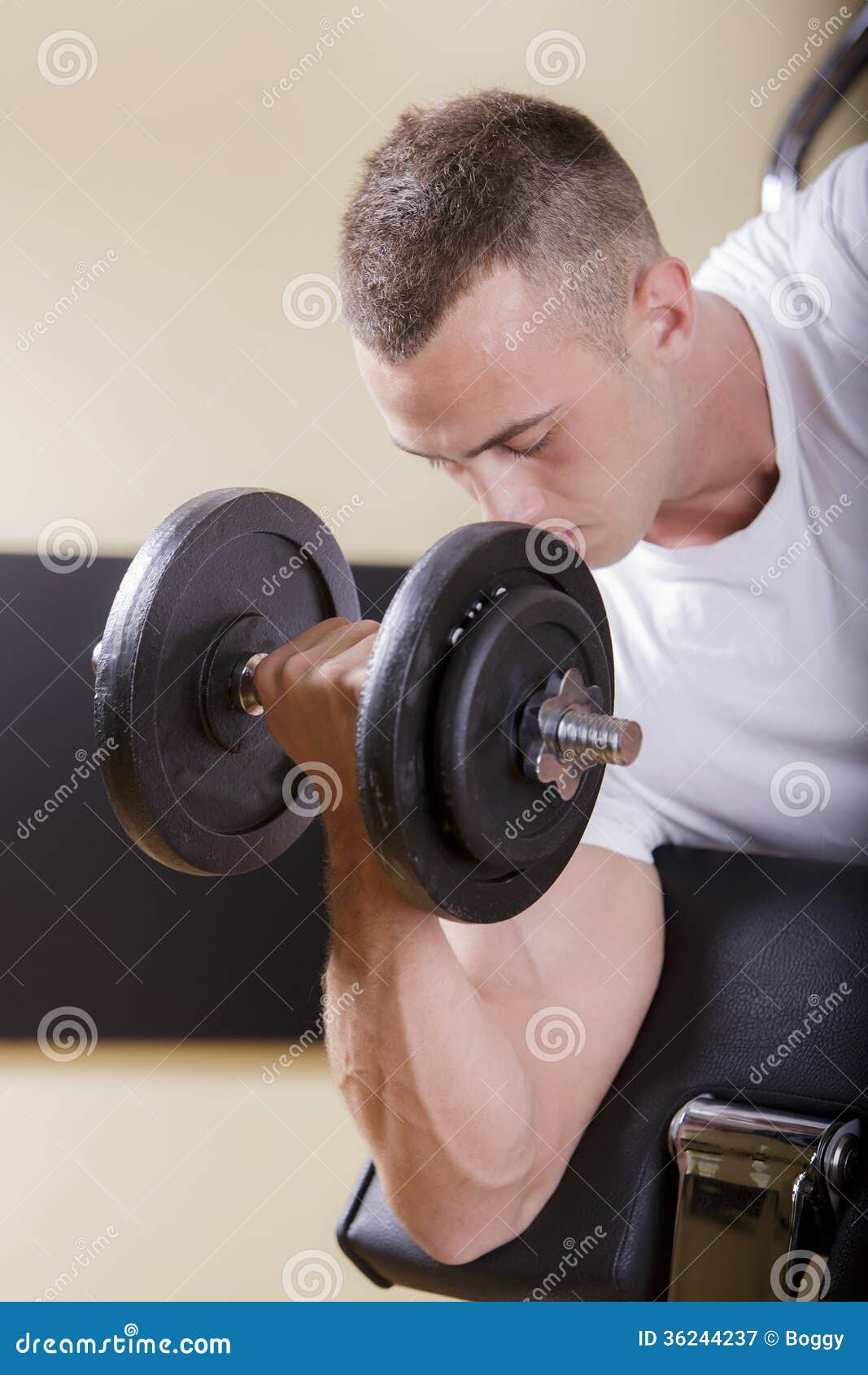 Young man in the gym stock image. Image of bicep, muscles - 36244237