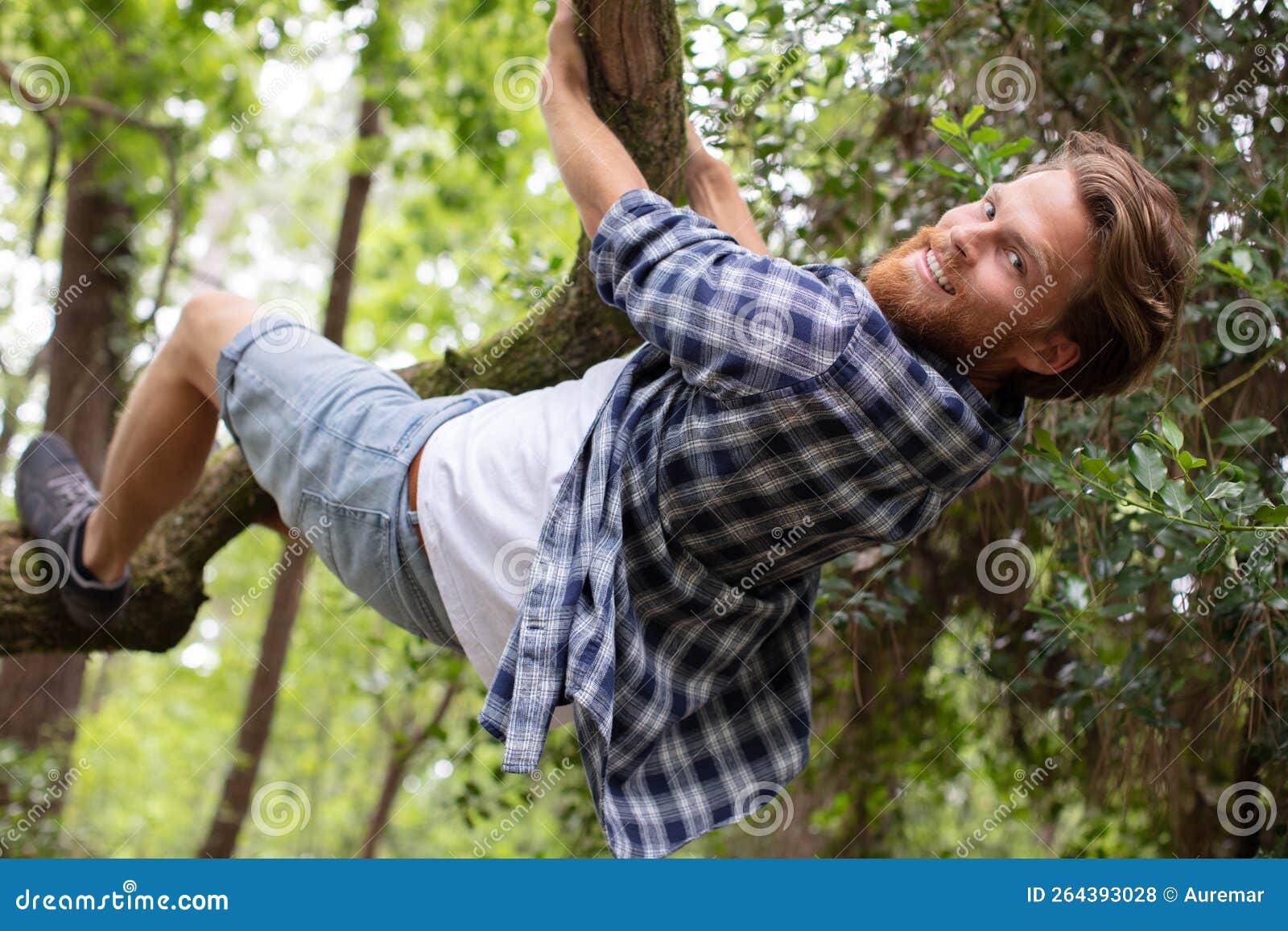 Young Man Hanging on Tree Branch Stock Photo - Image of sport, branch ...