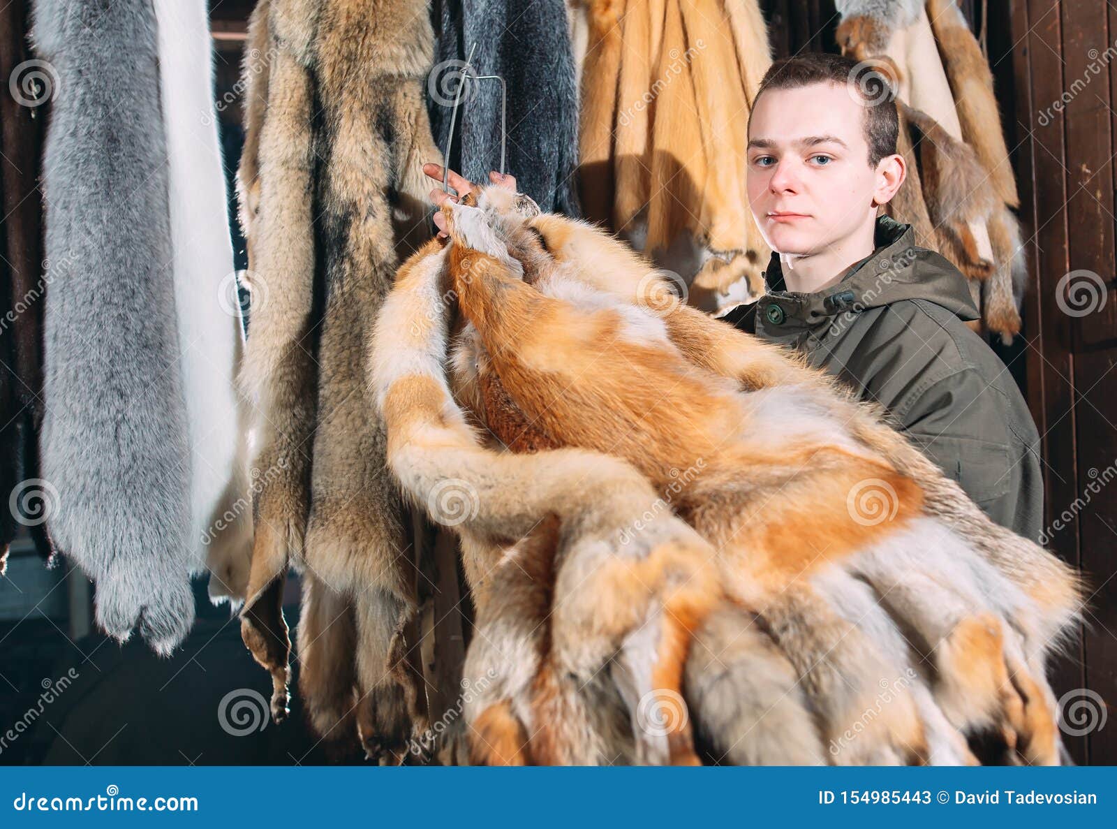 A Young Man Hangs Up the Fur after Treatment. Stock Image - Image of ...