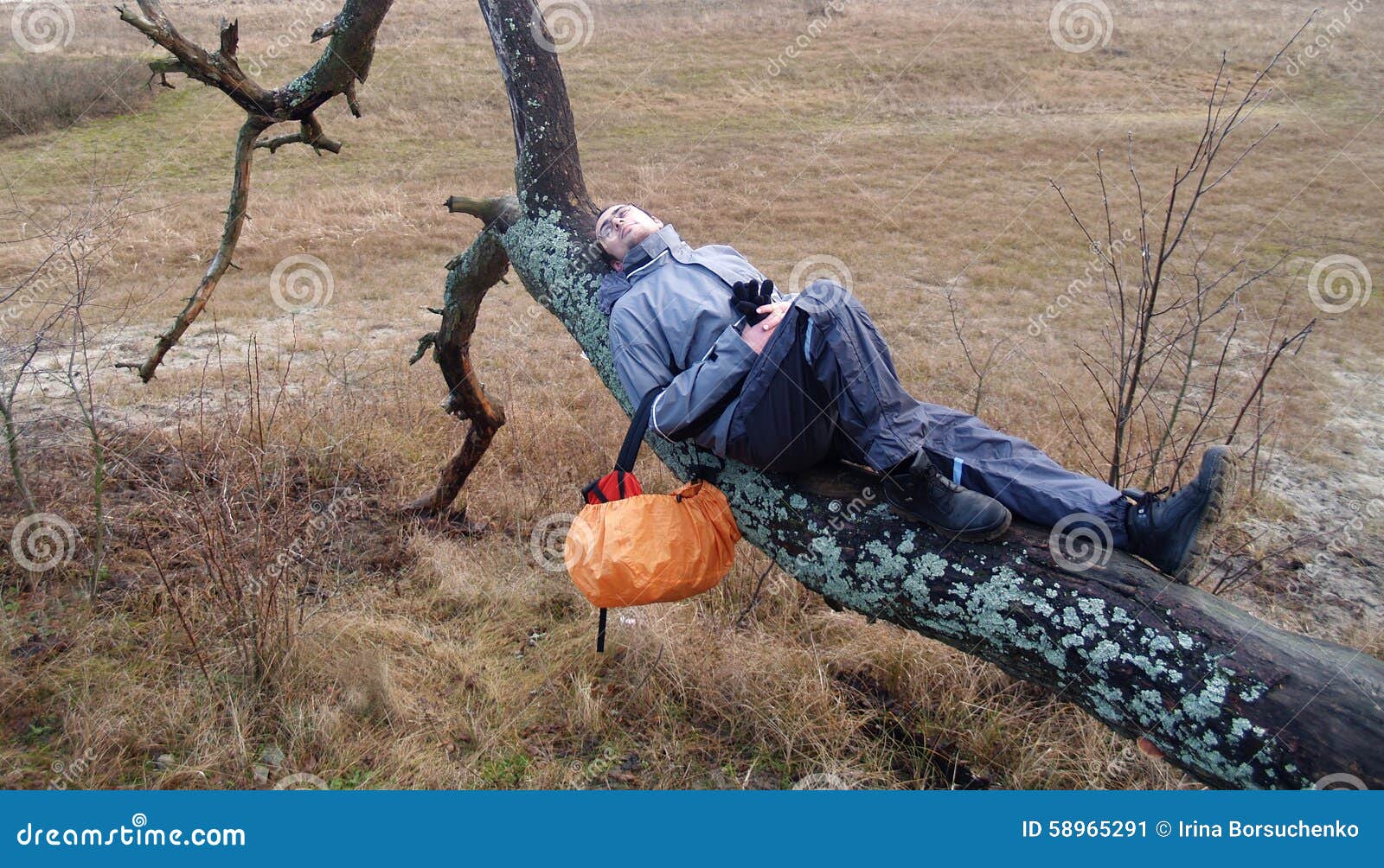 The Young Man Has a Rest, Lying on a Tree Stock Image - Image of ...