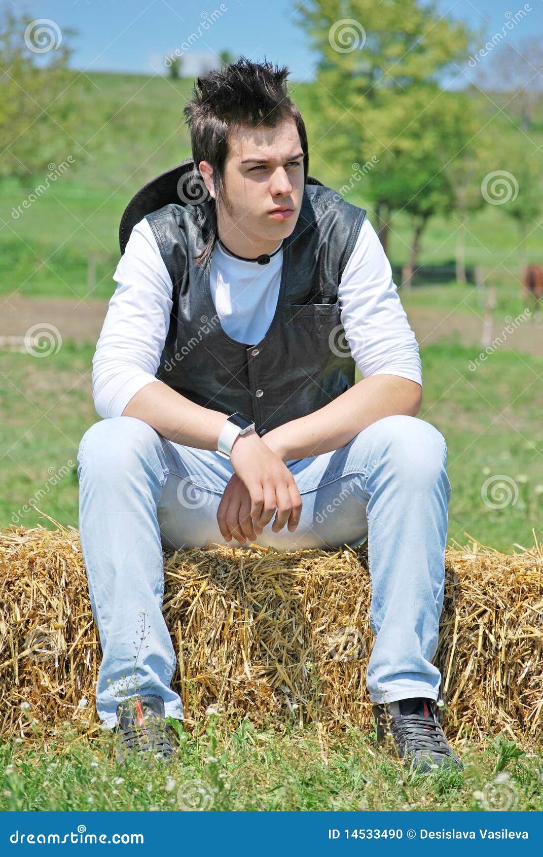 Young man on hay bale stock photo. Image of farming, serious - 14533490