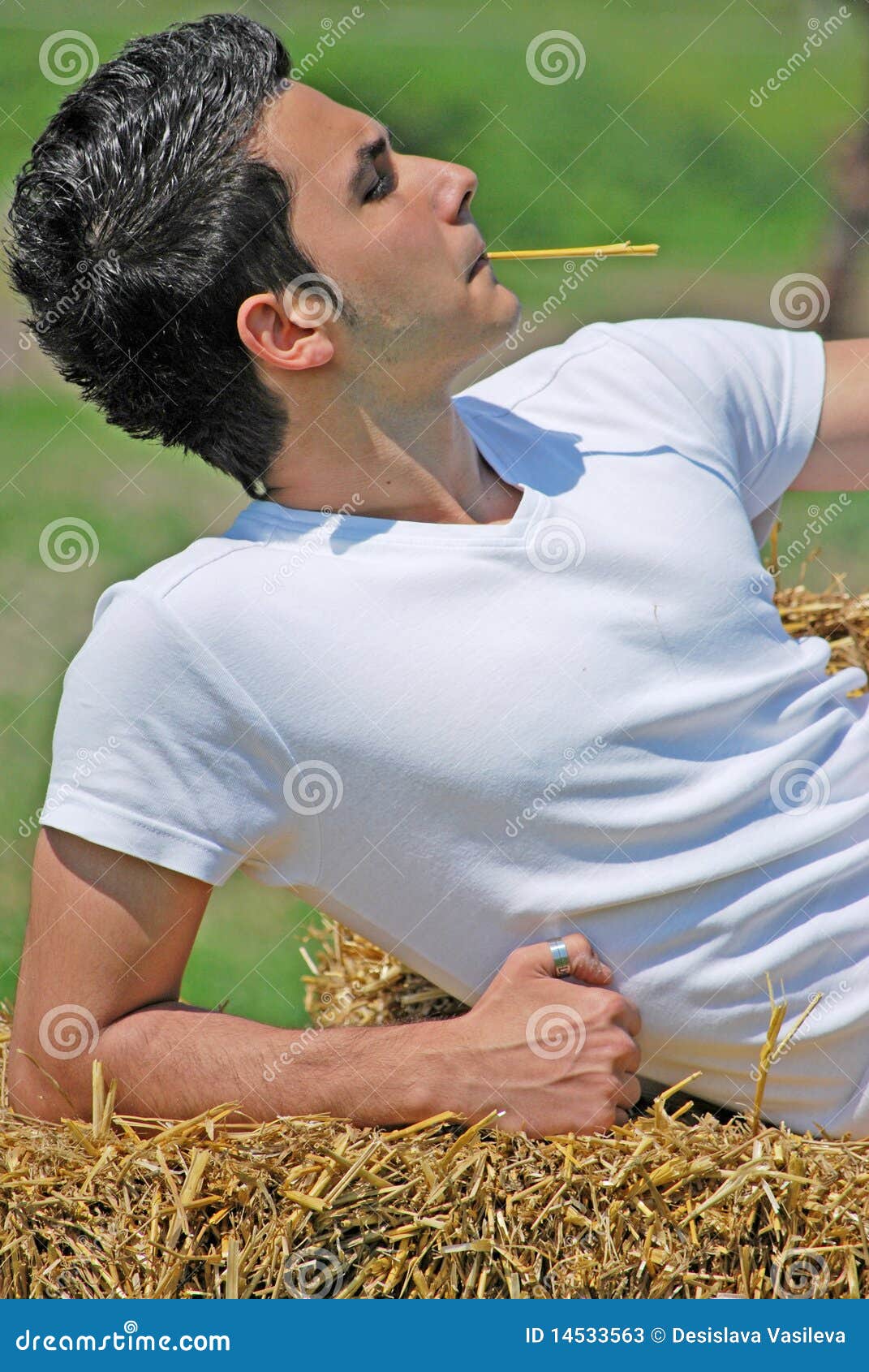 Young man on hay bale stock image. Image of farm, pose - 14533563