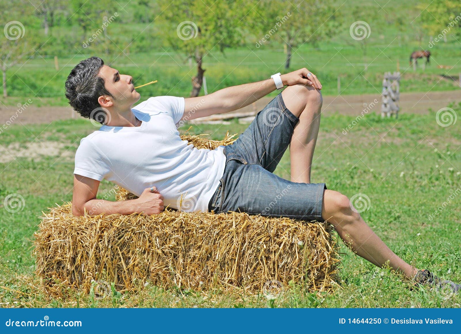 Young man on hay bale stock photo. Image of summer, field - 14644250