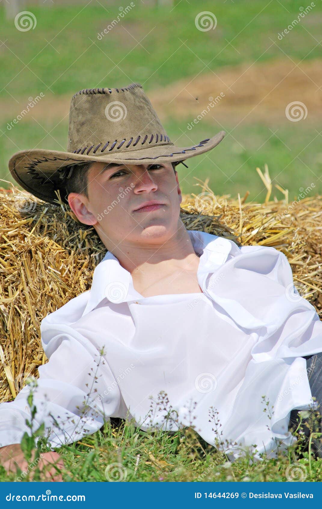 Young man on hay bale stock image. Image of serious, shirt - 14644269