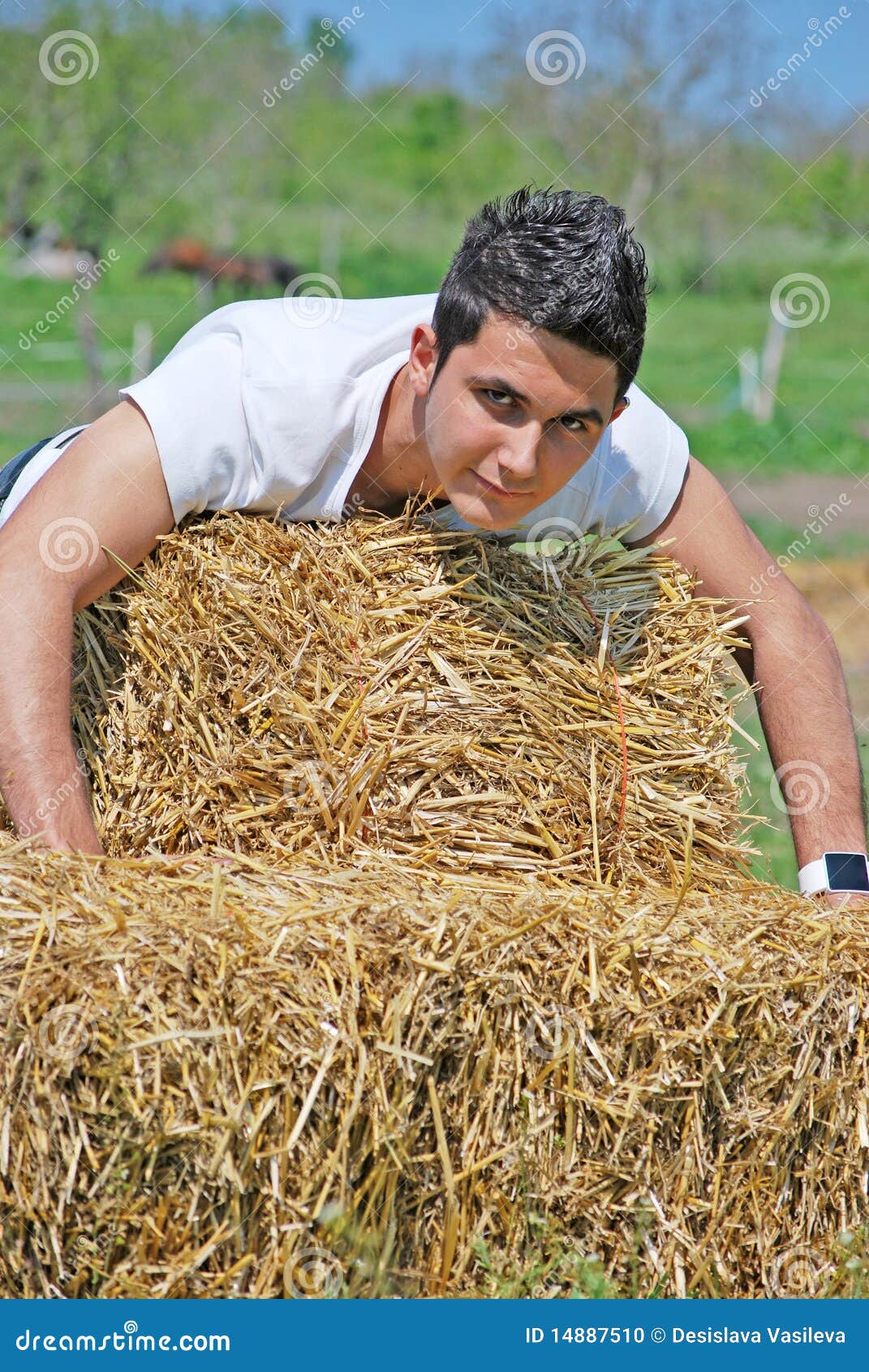Young man on hay bale stock photo. Image of serious, bales - 14887510