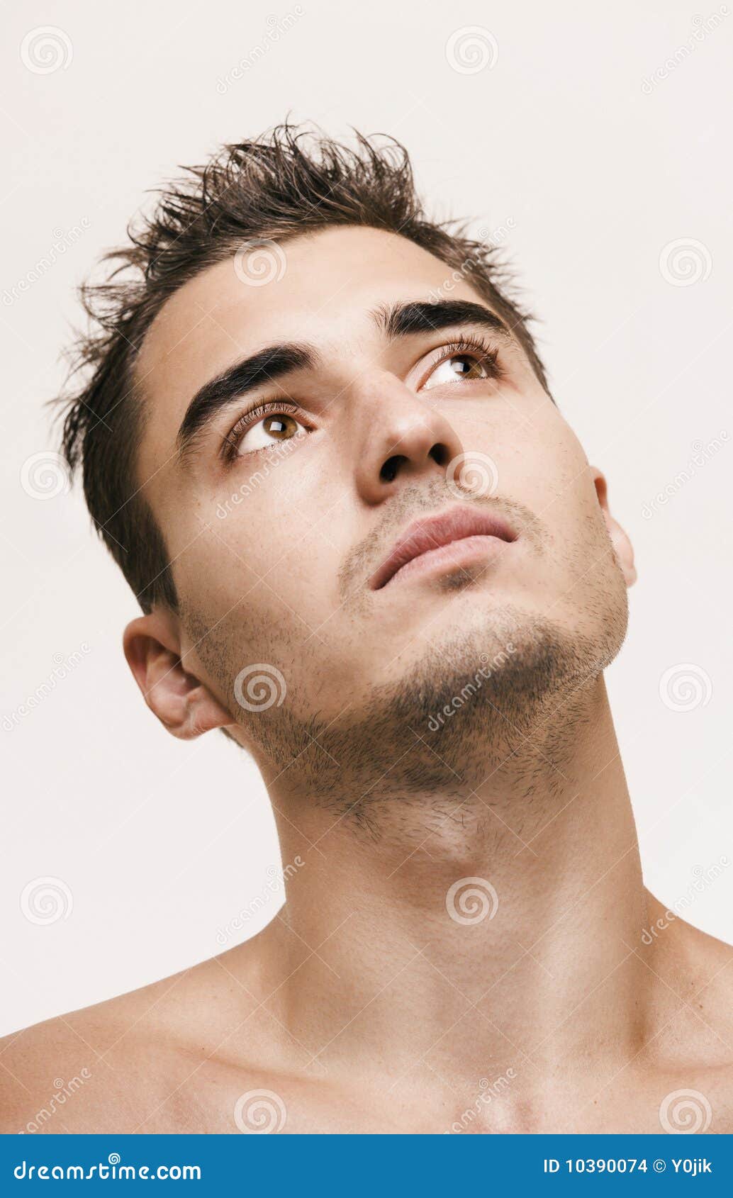 Young man head stock photo. Image of head, handsome, sunburn - 10390074