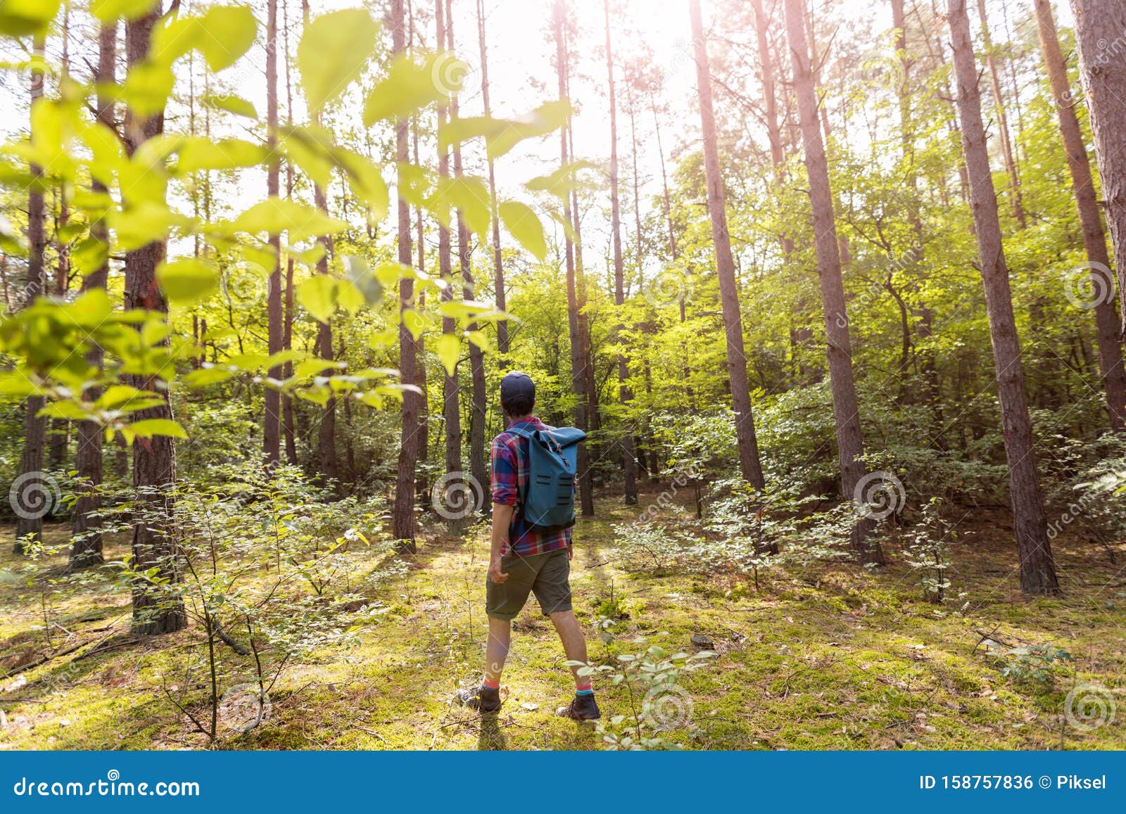 Man hiking in the forest stock photo. Image of freedom - 158757836