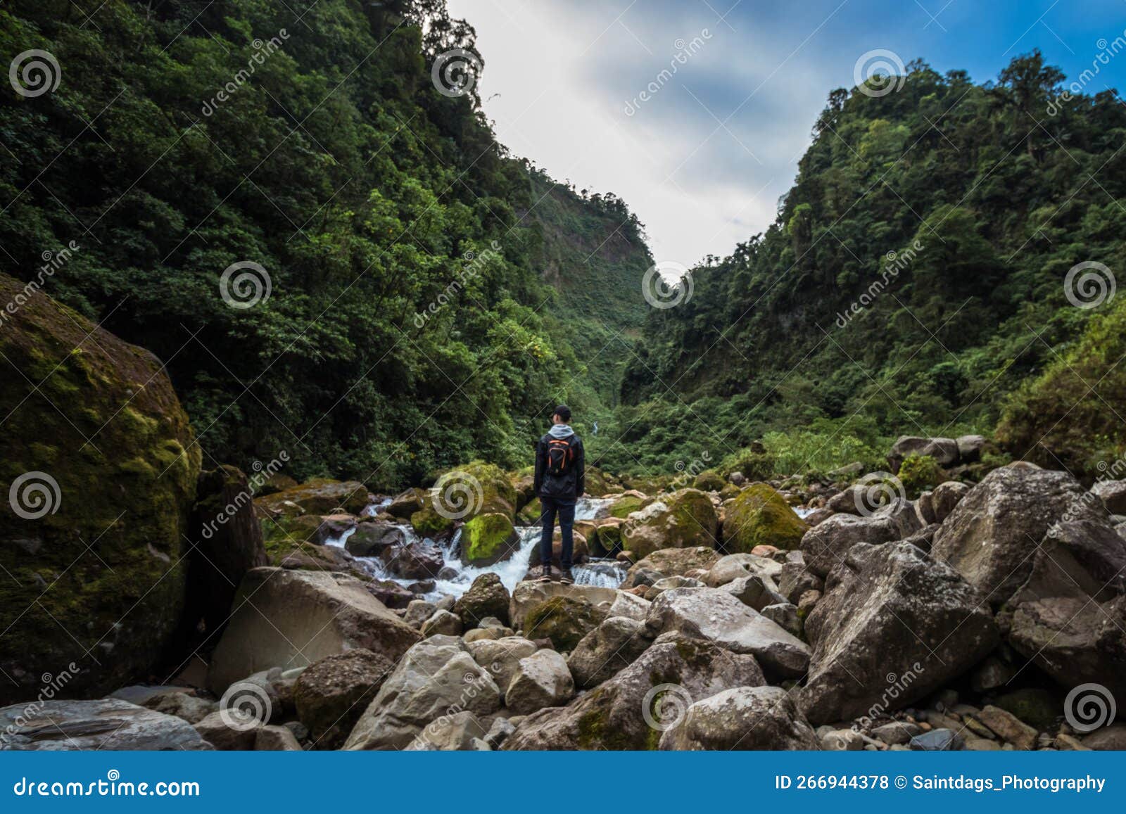 Young Man Hiking on a Riverbed in the Middle of the Tropical Jungle ...