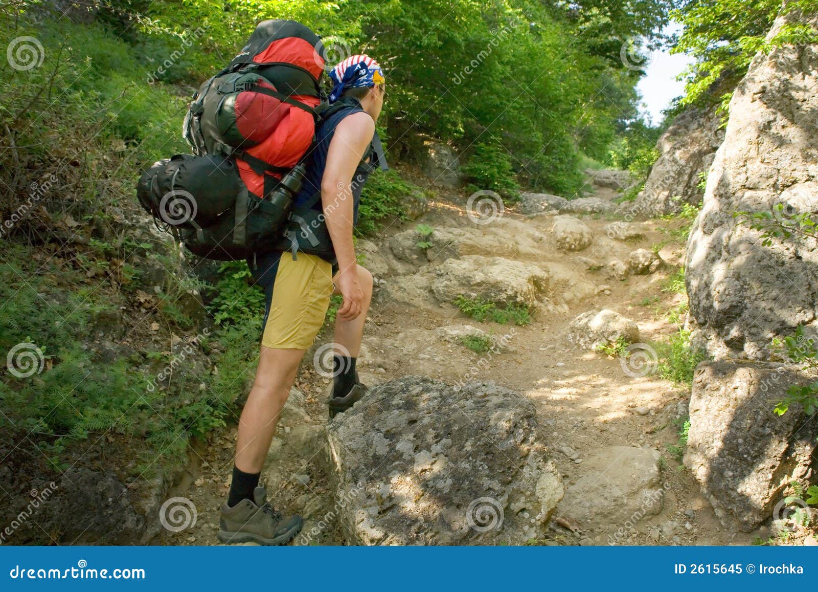 Young man on hiking trip stock image. Image of mountain - 2615645