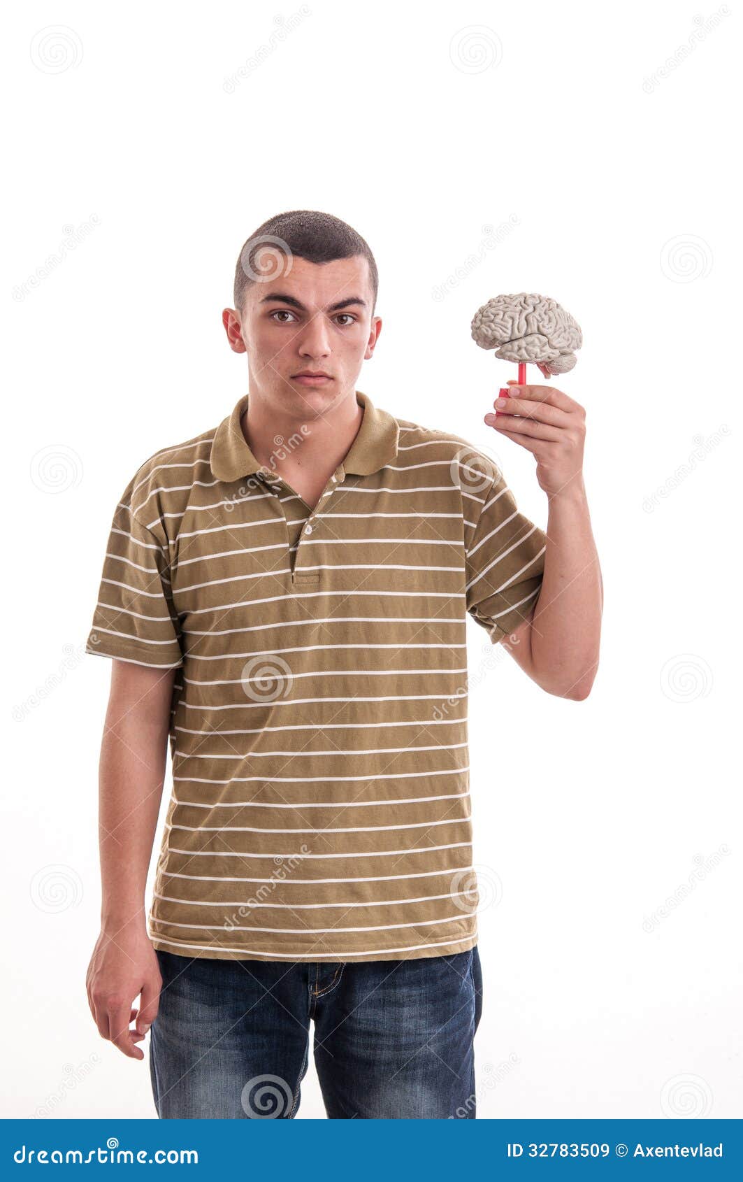 Young Man Holding a Human Brain Model Stock Image - Image of medical ...