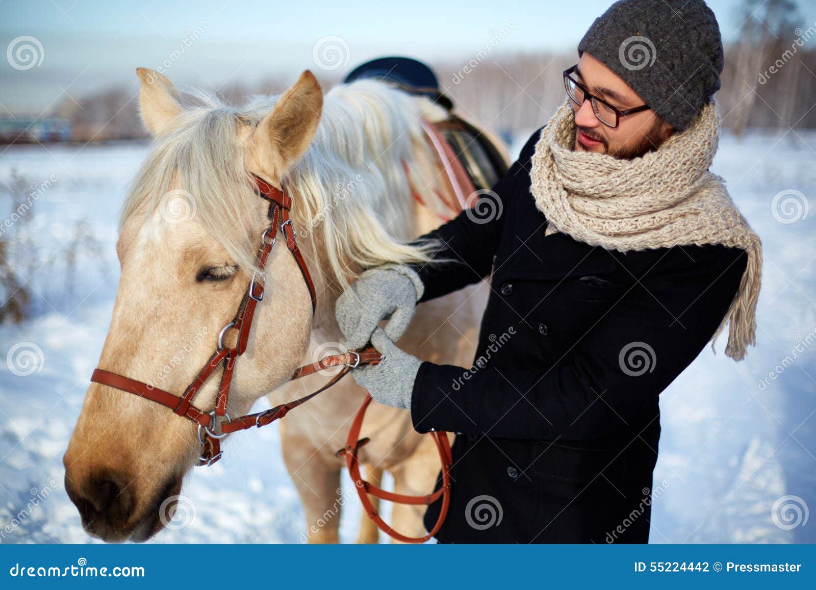 Young man with horse stock photo. Image of animal, bridle - 55224442