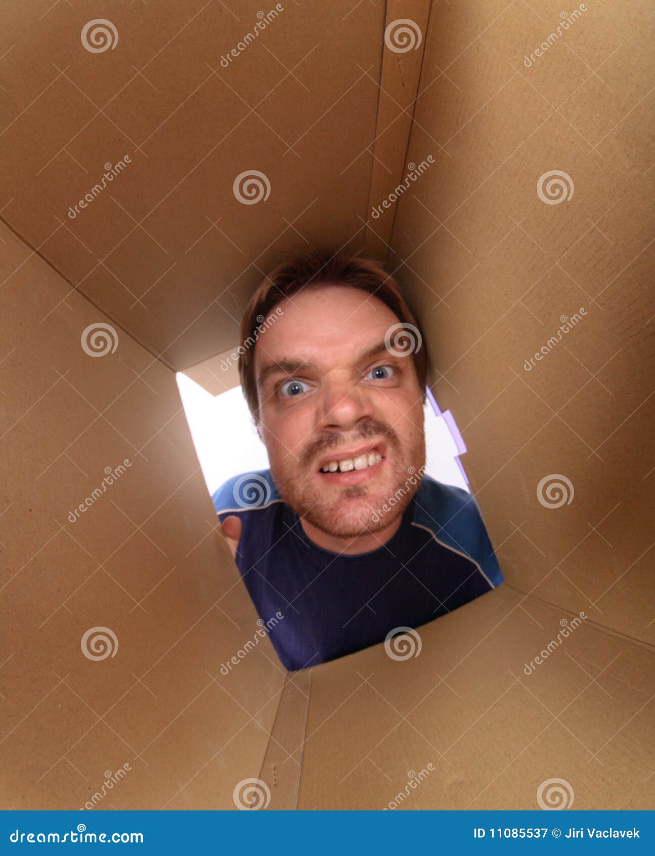 Young man inside box stock image. Image of look, empty - 11085537