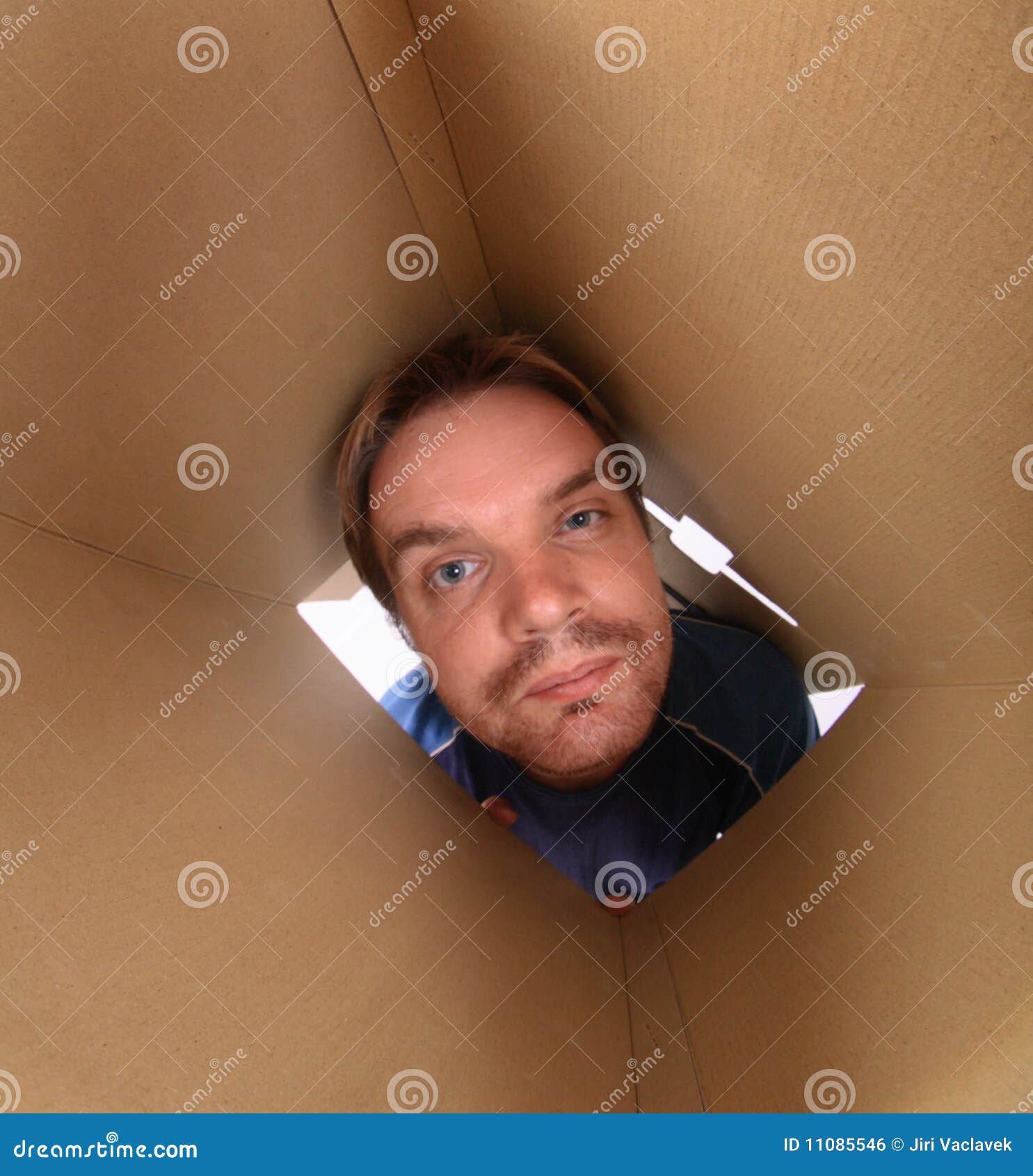 Young man inside box stock photo. Image of emotion, empty - 11085546