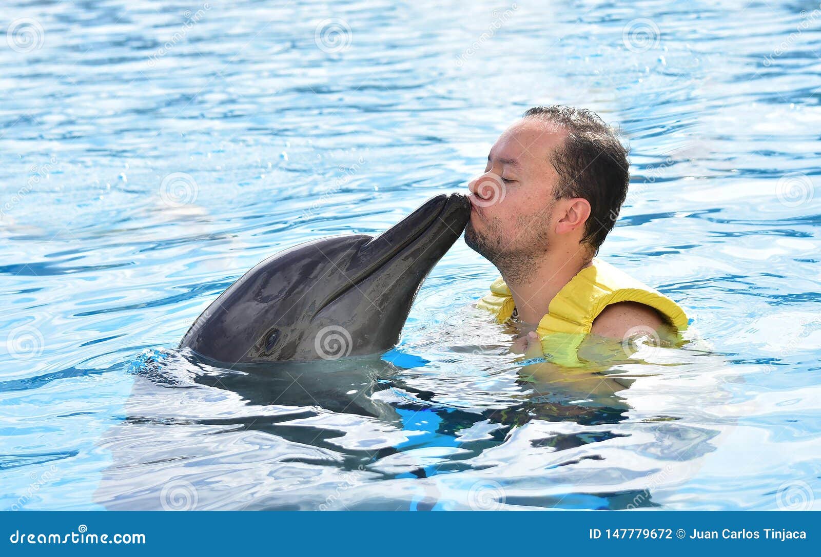 Young Man Kissing Dolphin in Pool Stock Photo - Image of american ...