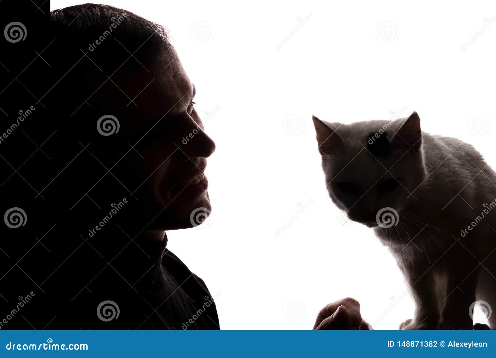Young Man with a Kitten in His Hands Stock Photo - Image of head ...