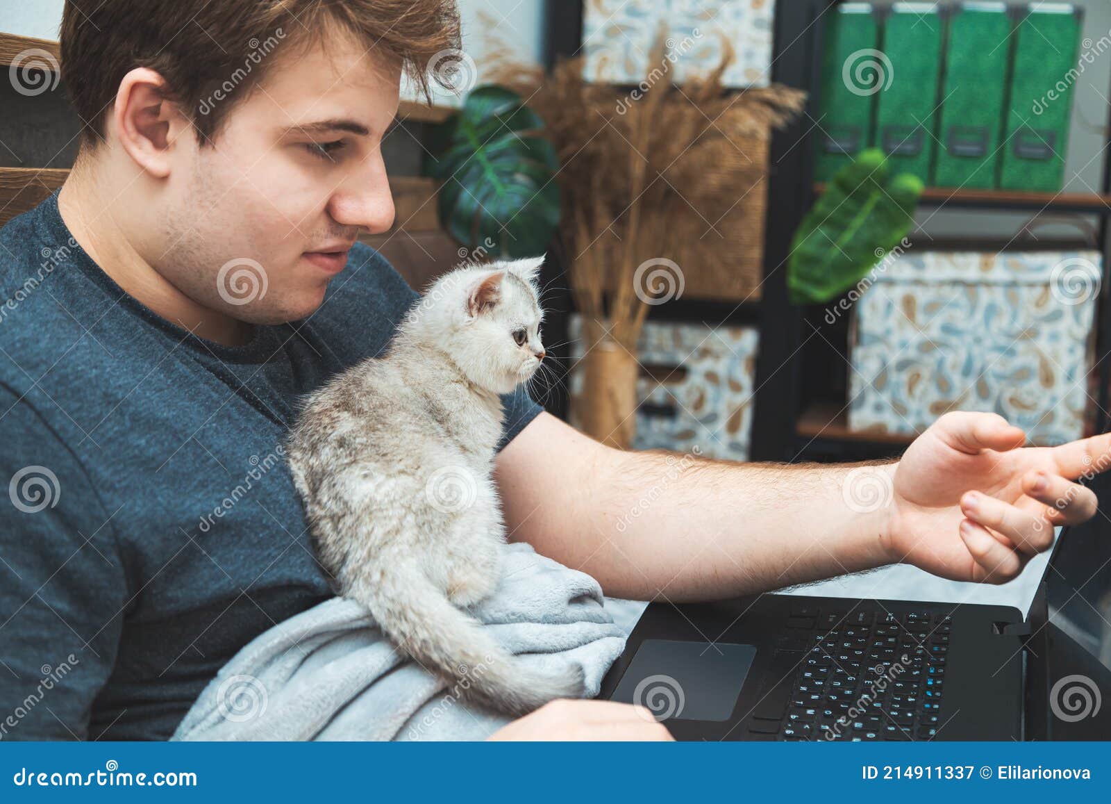 Young Man with Kitten Working at His Laptop Stock Image - Image of ...
