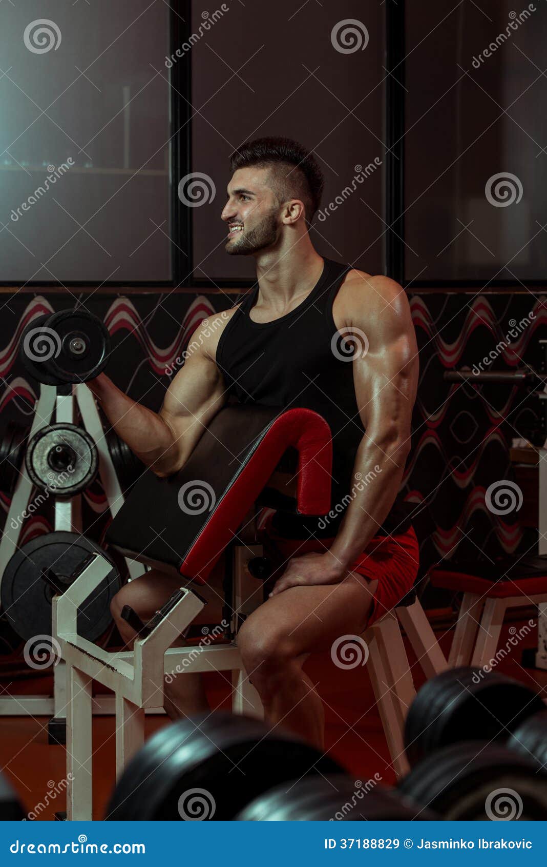 Young Man Lifting Dumbbell in Gym Stock Image - Image of leisure ...