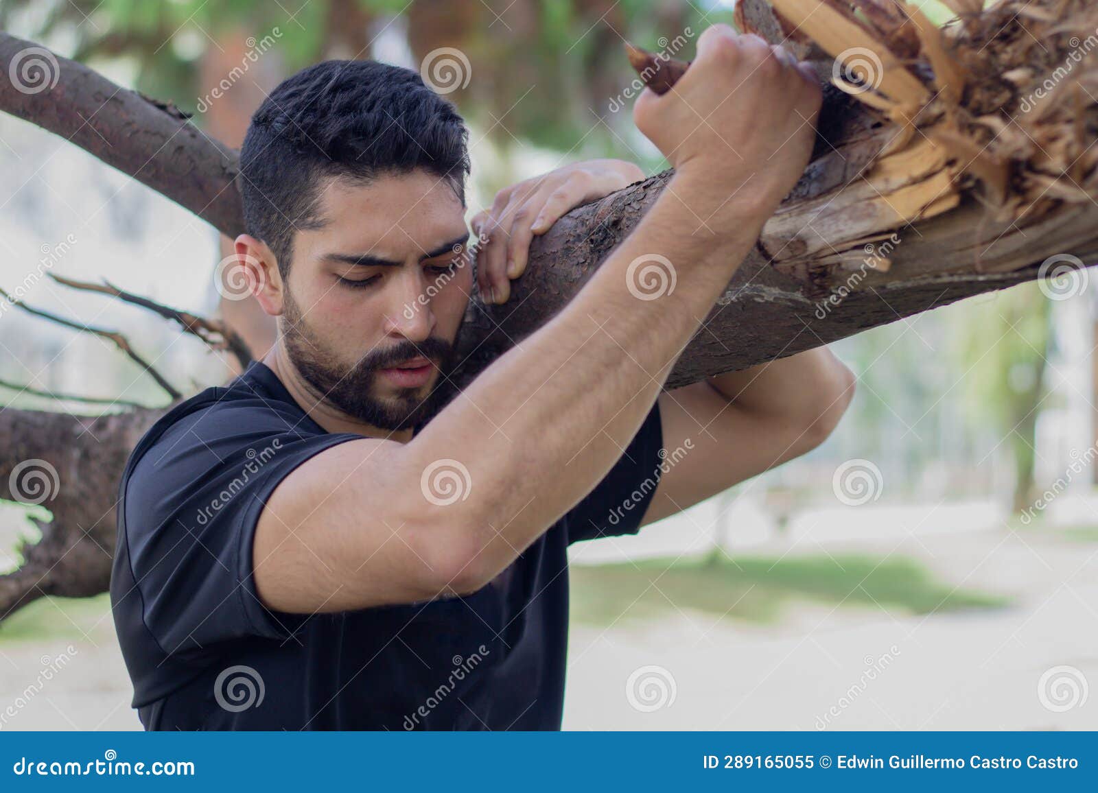 Young Man Lifting a Tree Trunk in a Forest. Lumberjack Cutting a Tree ...