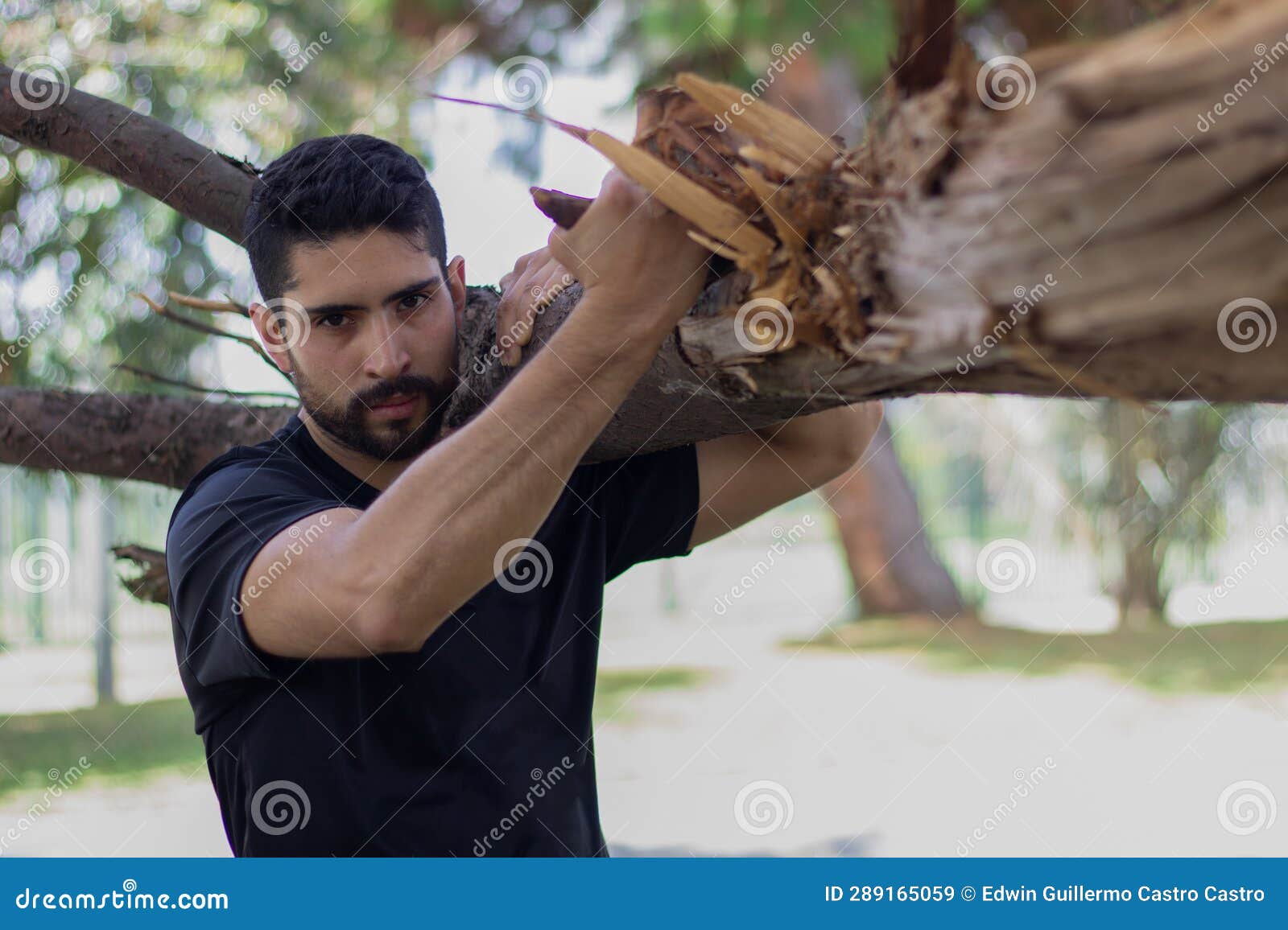 Young Man Lifting a Tree Trunk in a Forest. Lumberjack Cutting a Tree ...
