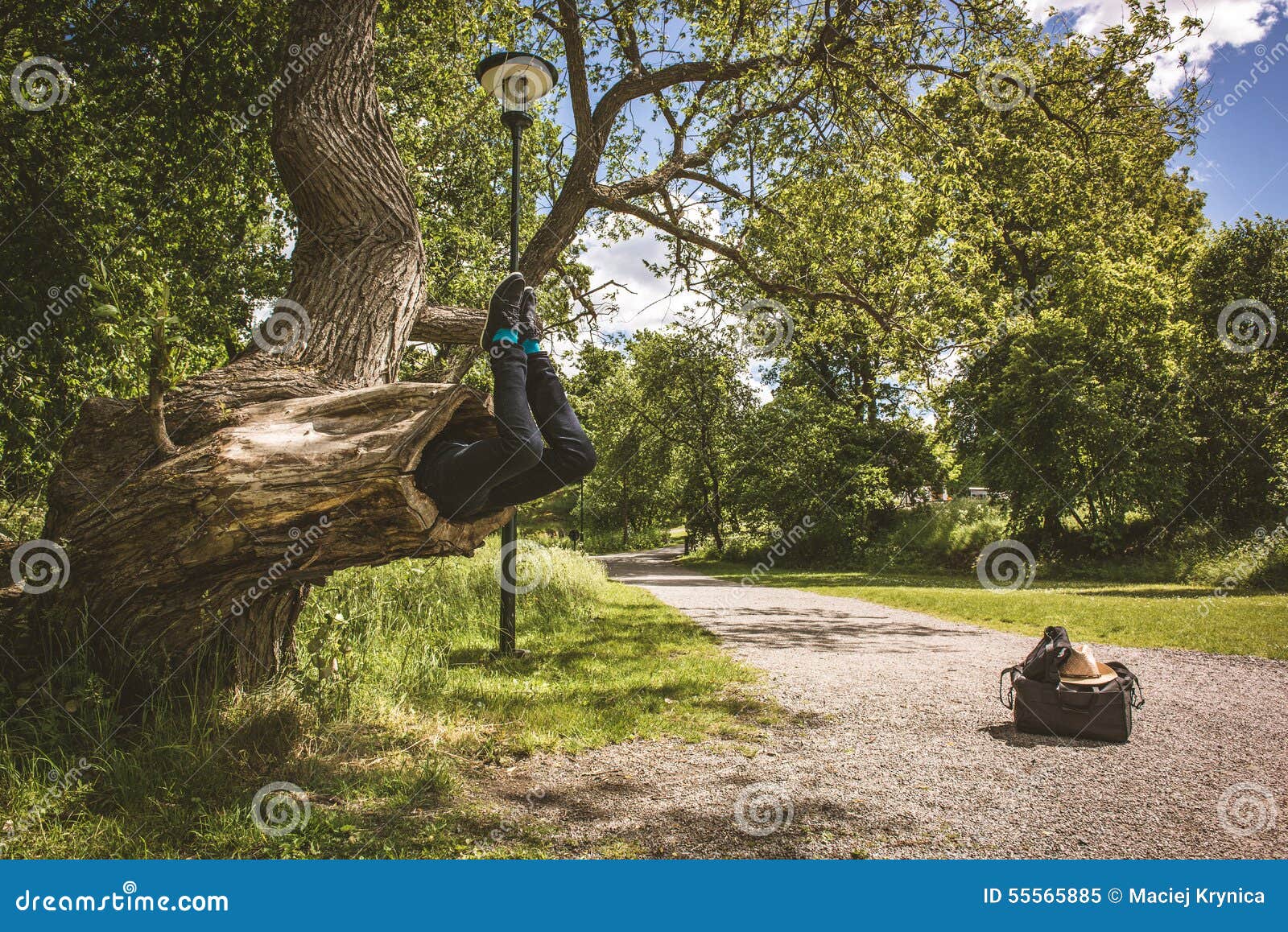 Young Man Looks Like he is Being Eaten by a Big Tree in the Park Stock ...