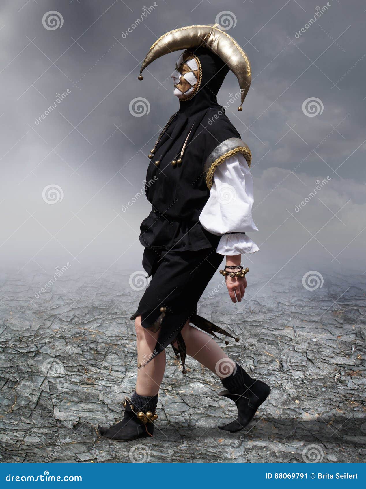 Medieval Mask Royalty-Free Stock Photography | CartoonDealer.com #1263701