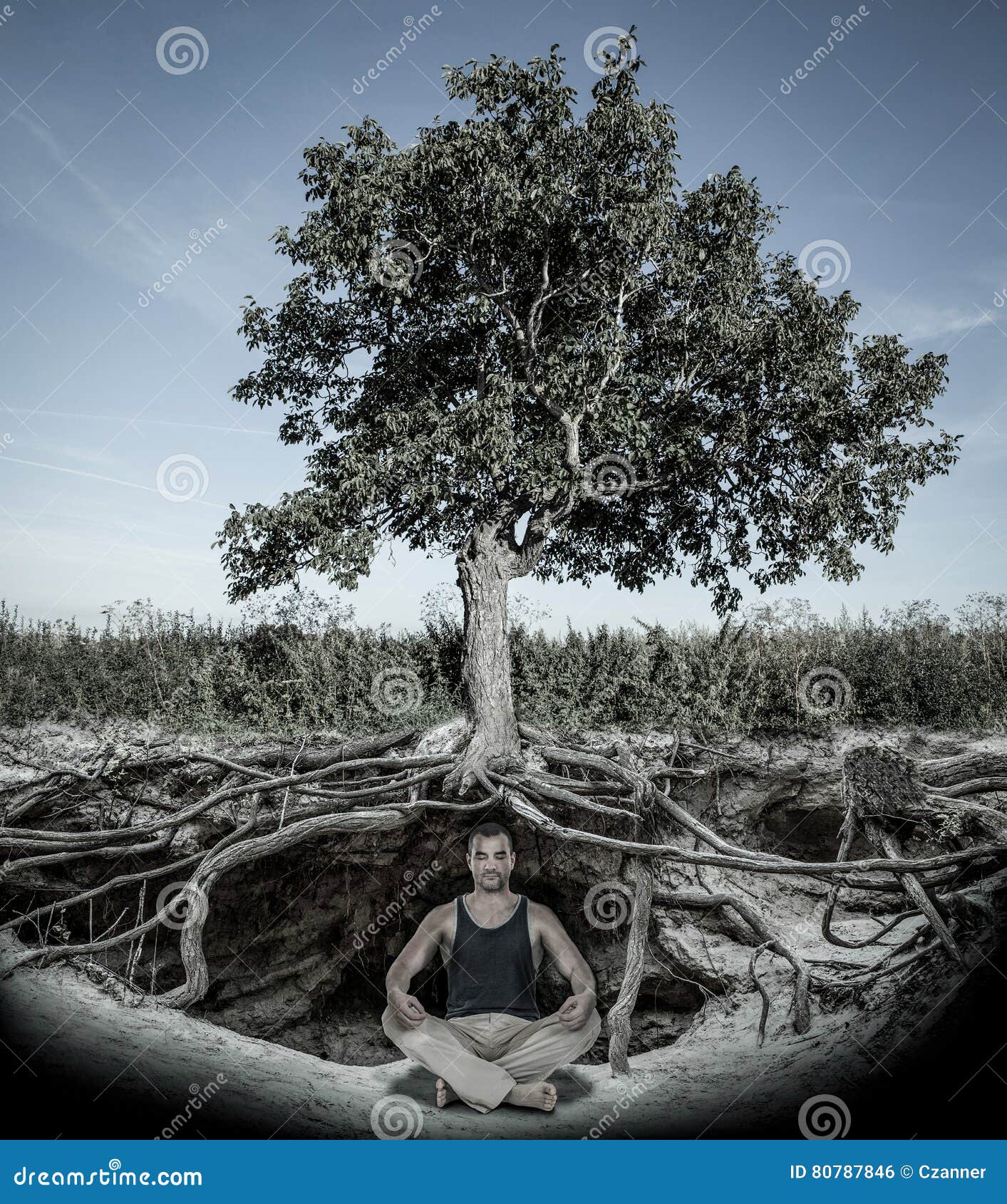 Young Man Meditating Under Tree Stock Photo - Image of relaxation ...