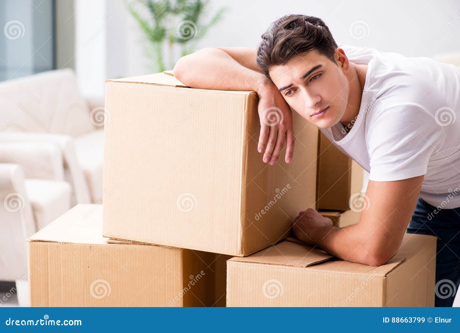 The Young Man Moving Boxes at Home Stock Image - Image of effects ...