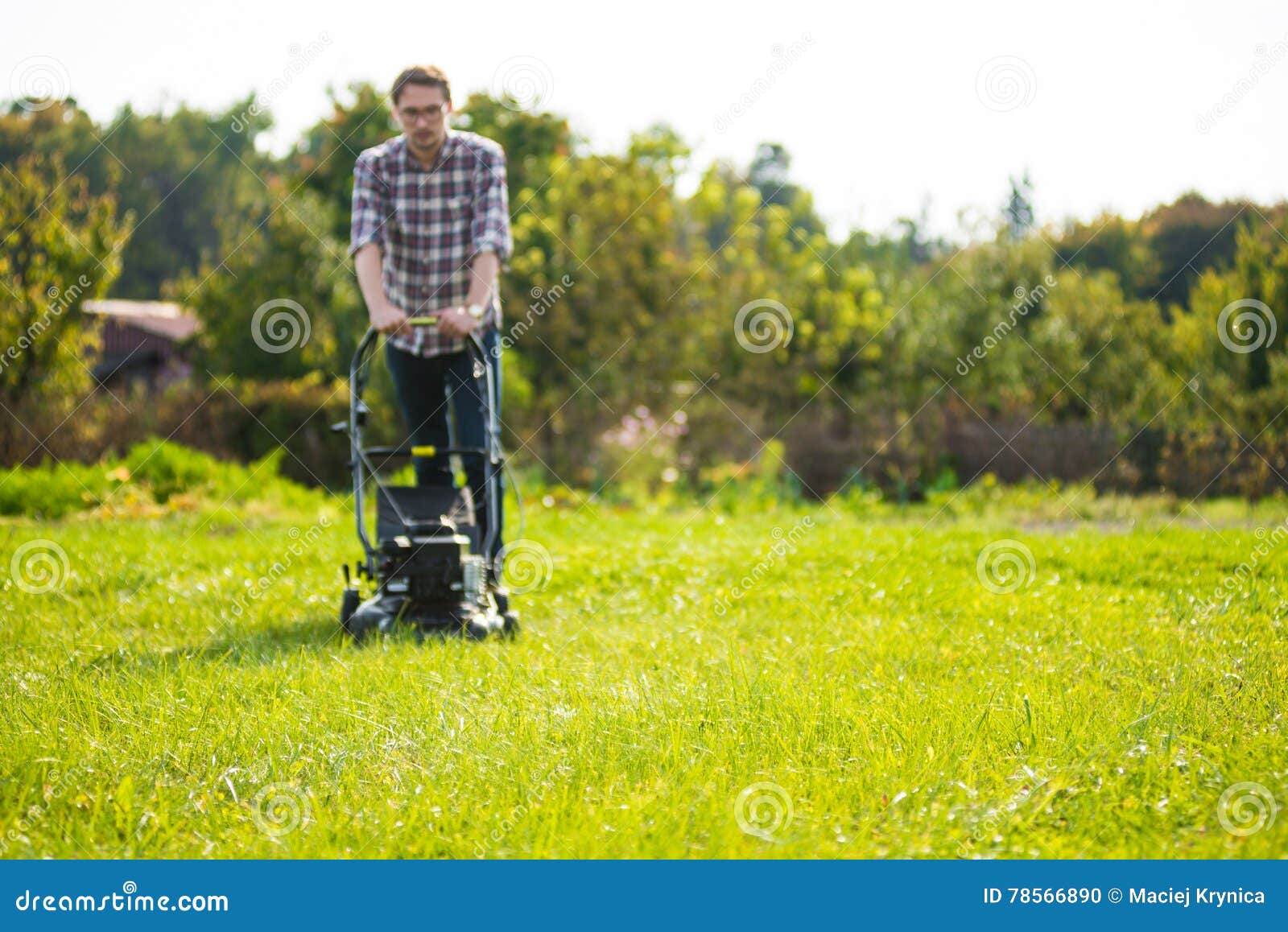 Young man mowing the grass stock photo. Image of field - 78566890