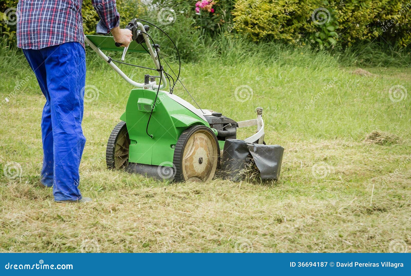 Young Man Mowing the Lawn with a Lawnmower Stock Image - Image of plant ...