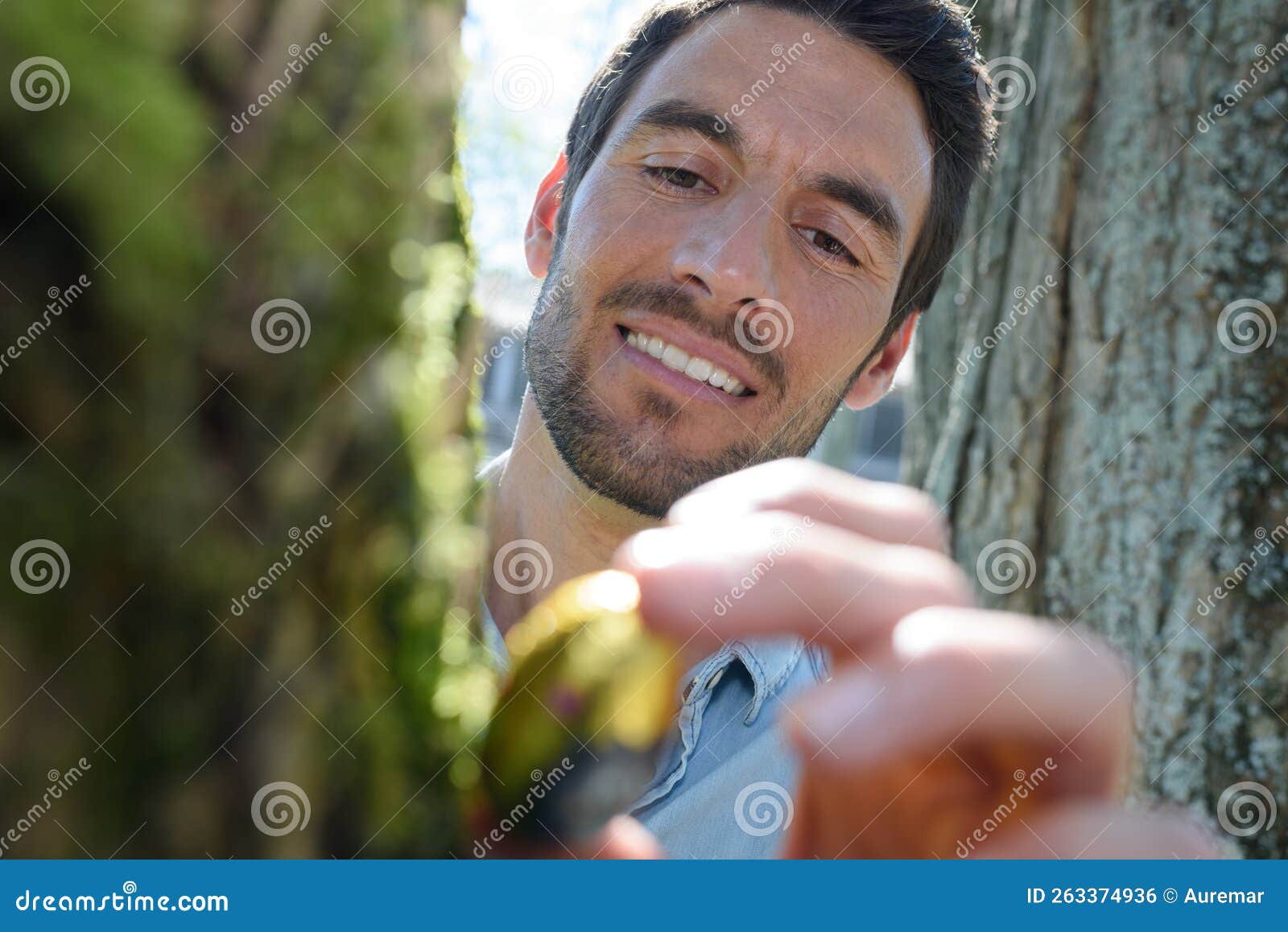 Young Man Nature Lover Concept Stock Photo - Image of creativity, youth ...