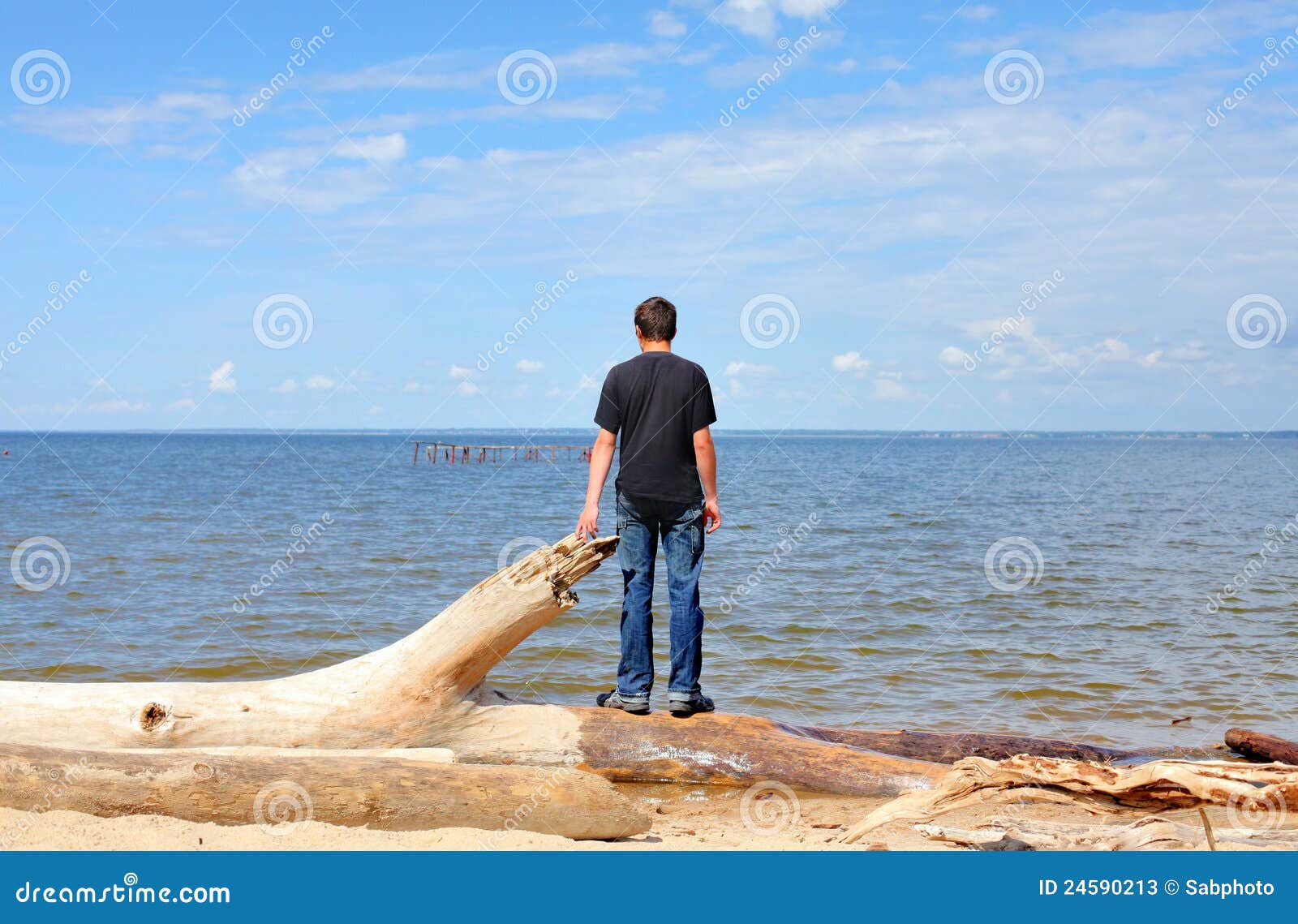 Young man near the sea stock image. Image of lakeside - 24590213