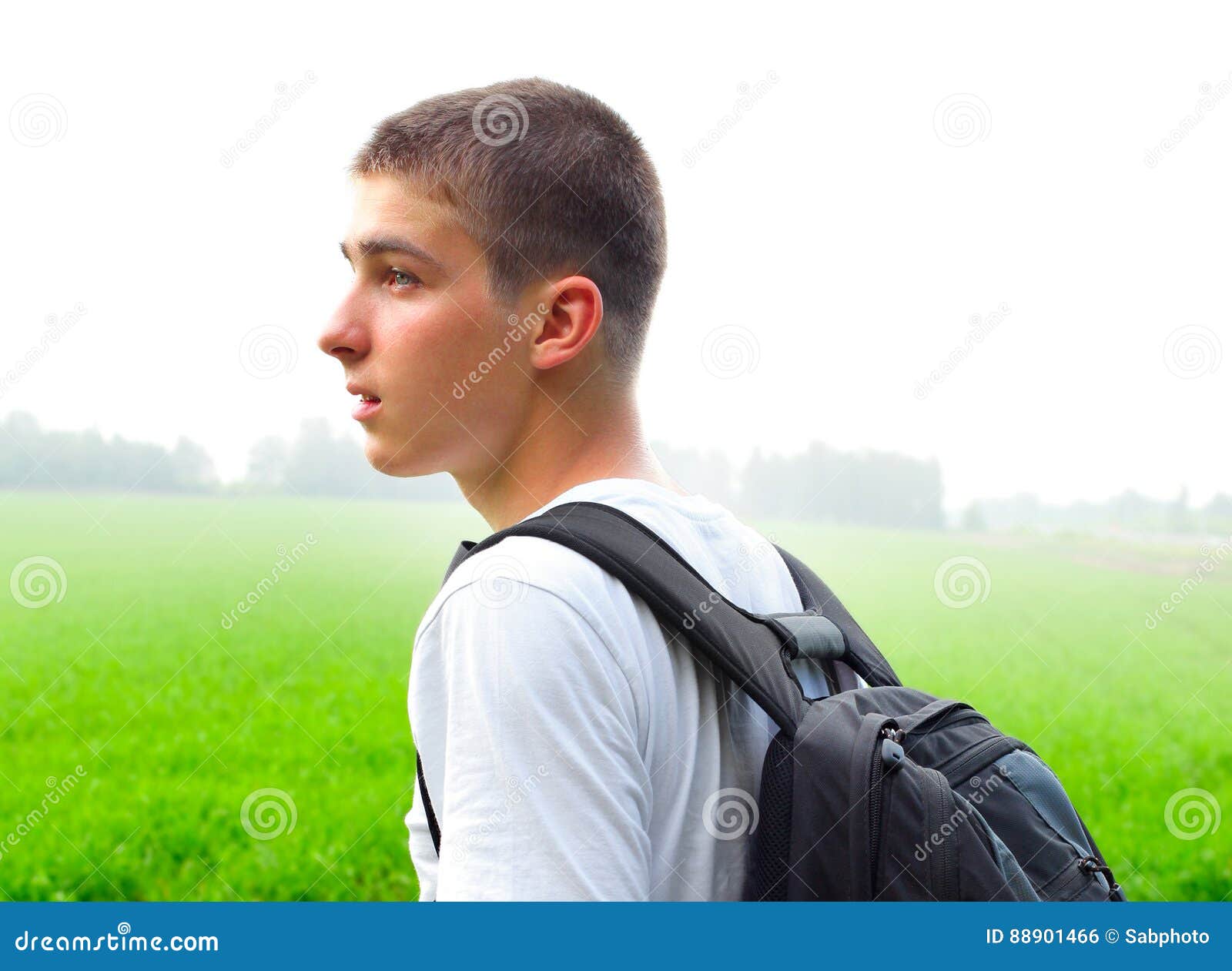 Young Man outdoor stock photo. Image of handsome, nature - 88901466