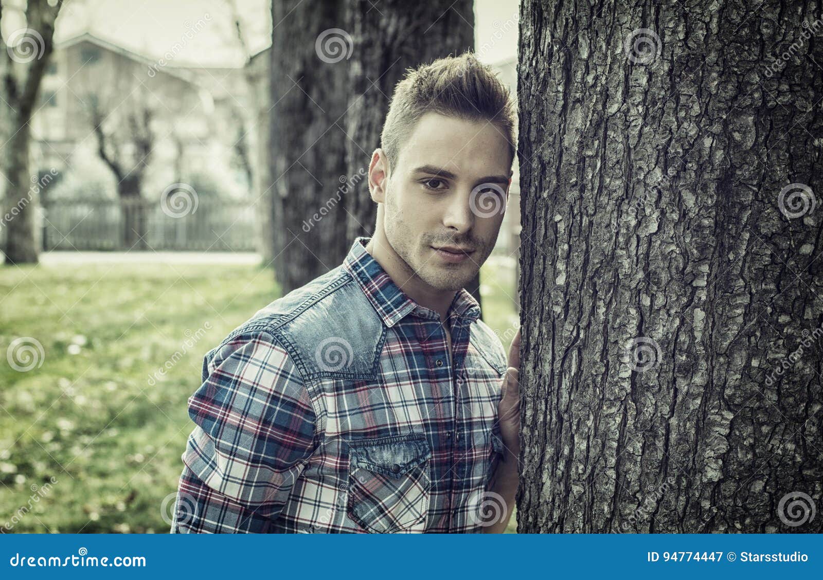 Young Man Outdoors Against a Tree, at Sunset Stock Image - Image of ...