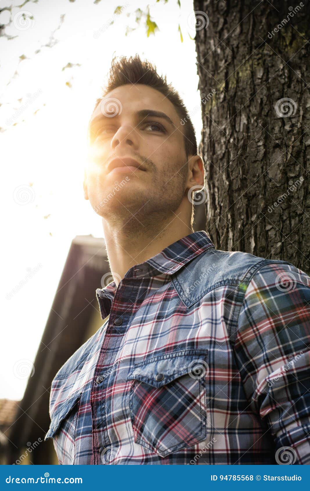 Young Man Outdoors Against a Tree, at Sunset Stock Photo - Image of ...