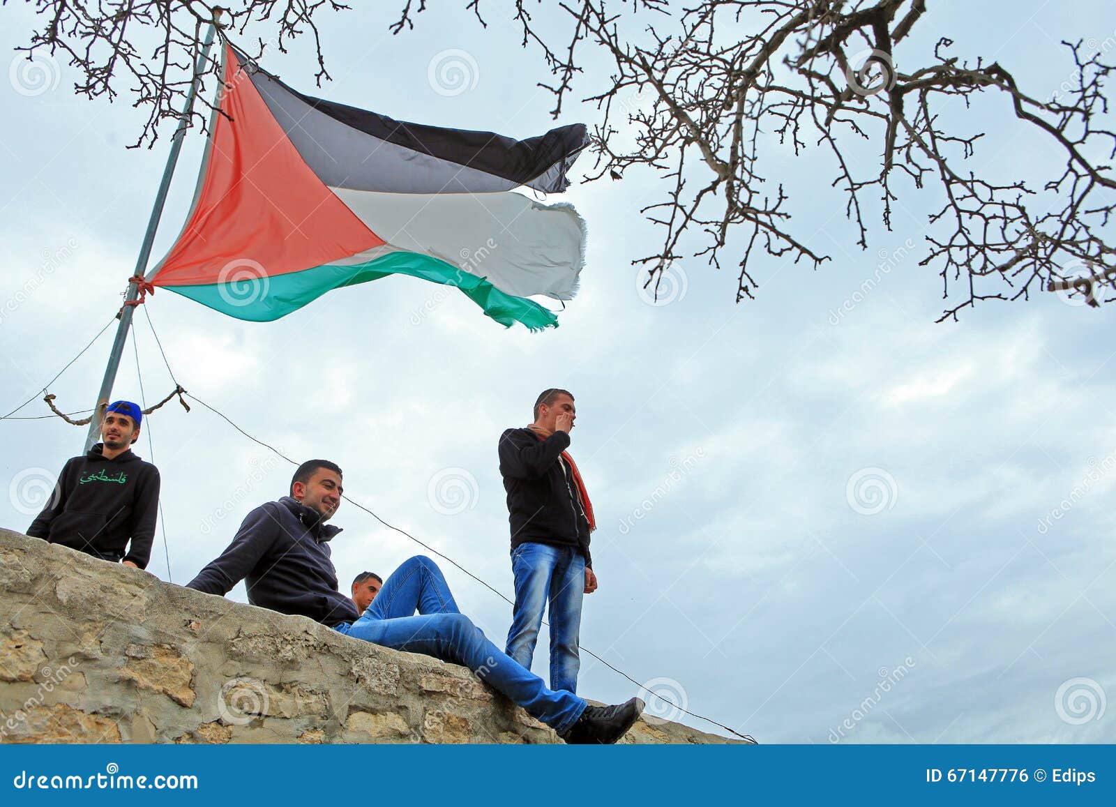 Young Man and Palestine Flag Editorial Photo - Image of aida, bully ...