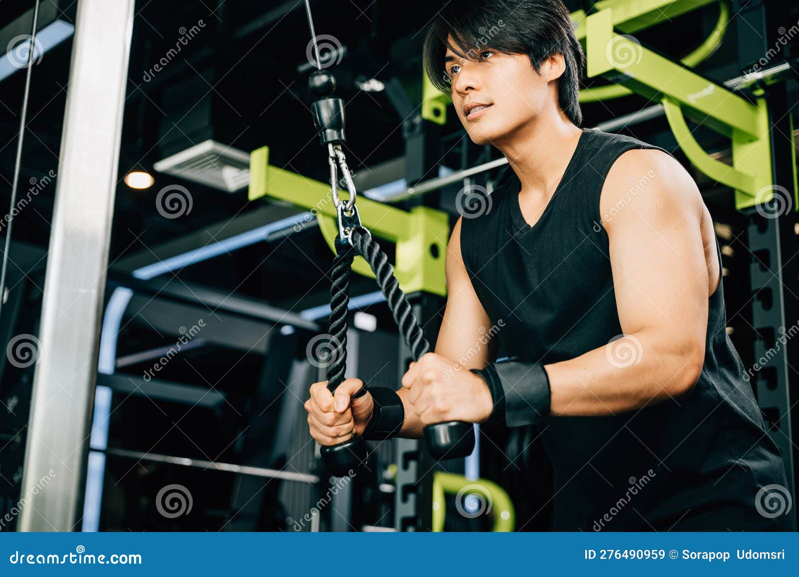 Tricep Cable Pulldown