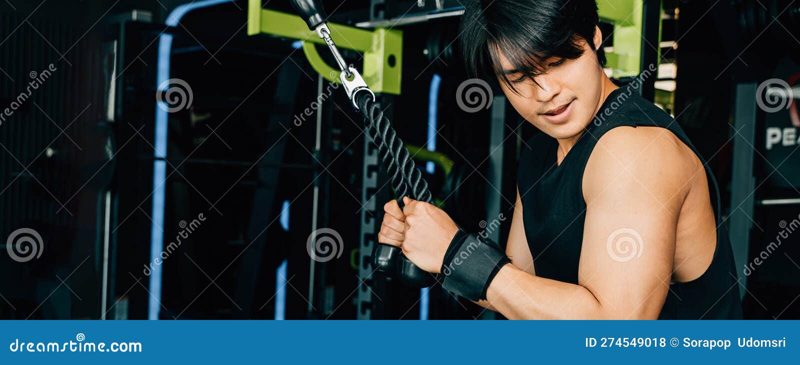 Young Man Performing Cable Triceps Pulldowns To Build Muscle and ...