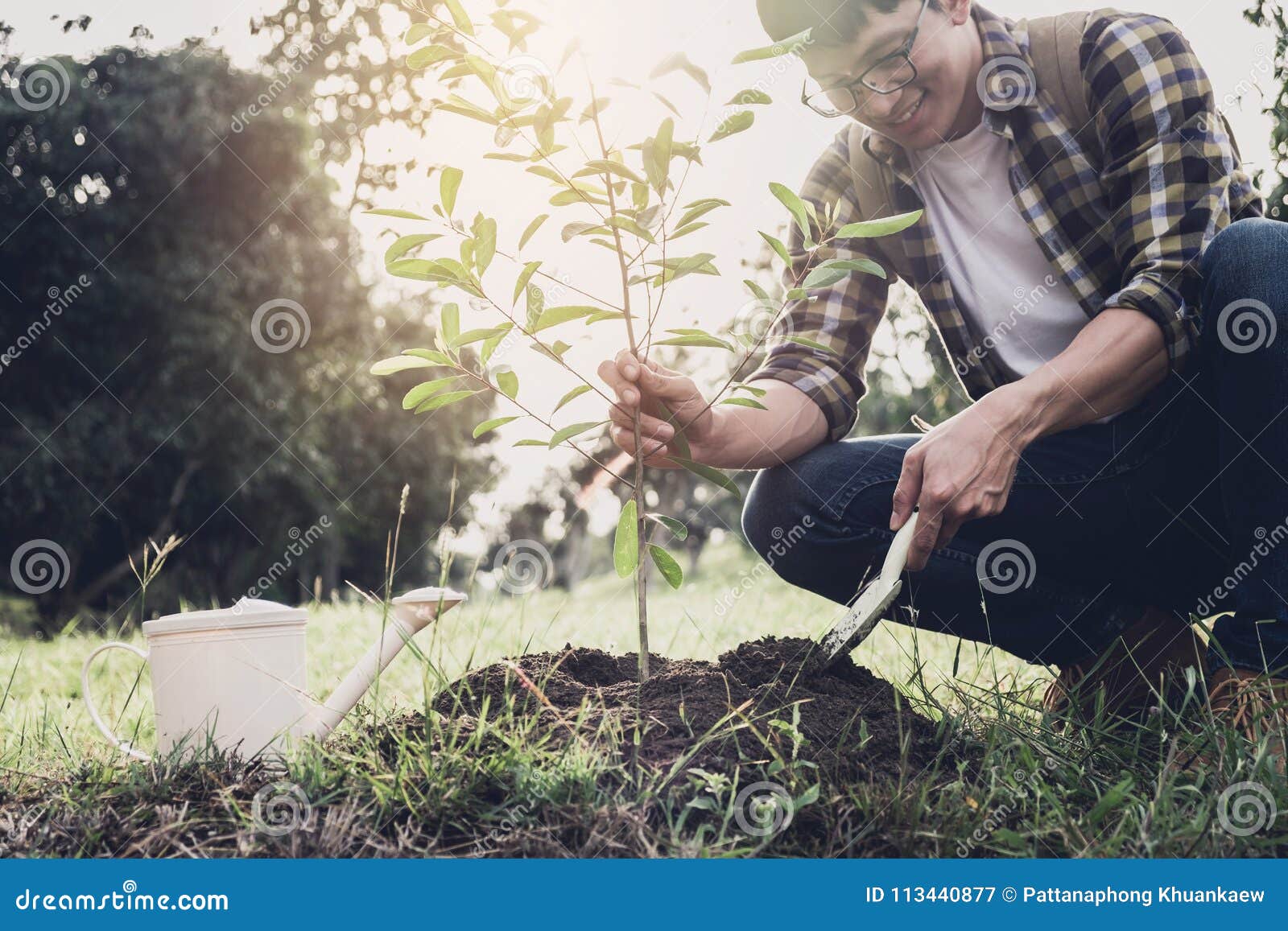 Young Man Planting the Tree while Watering a Tree Working in the Stock ...