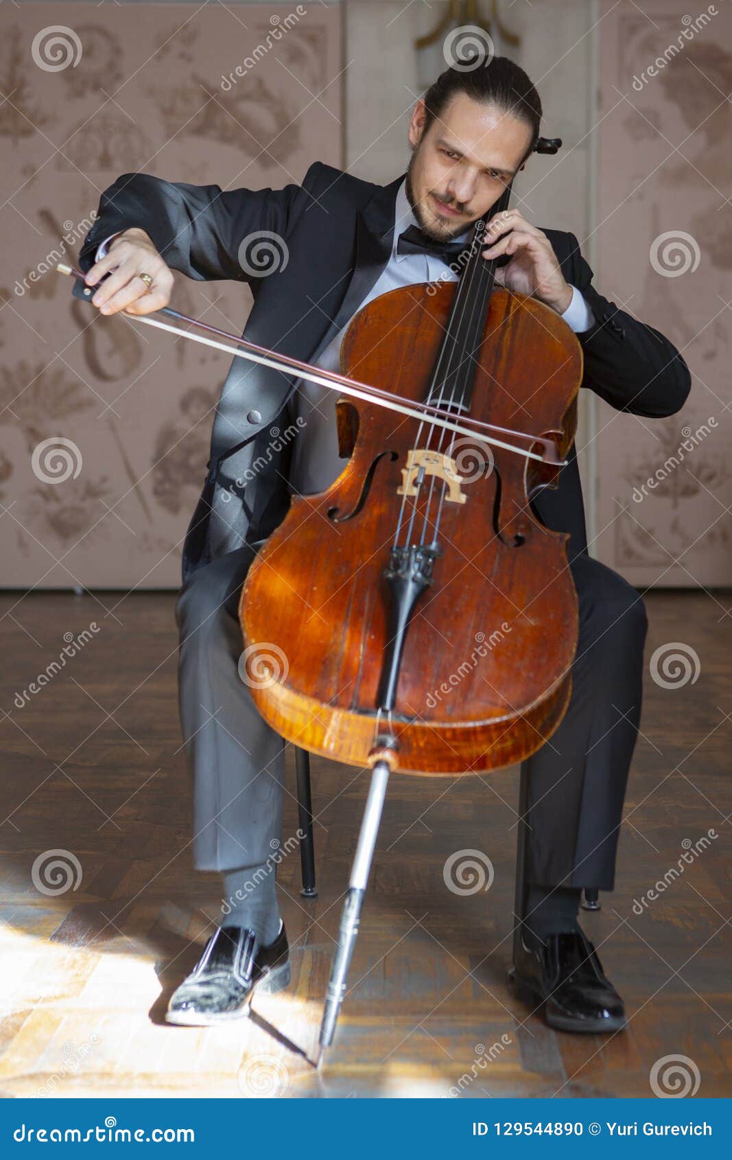 Playing The Cello For Dummies