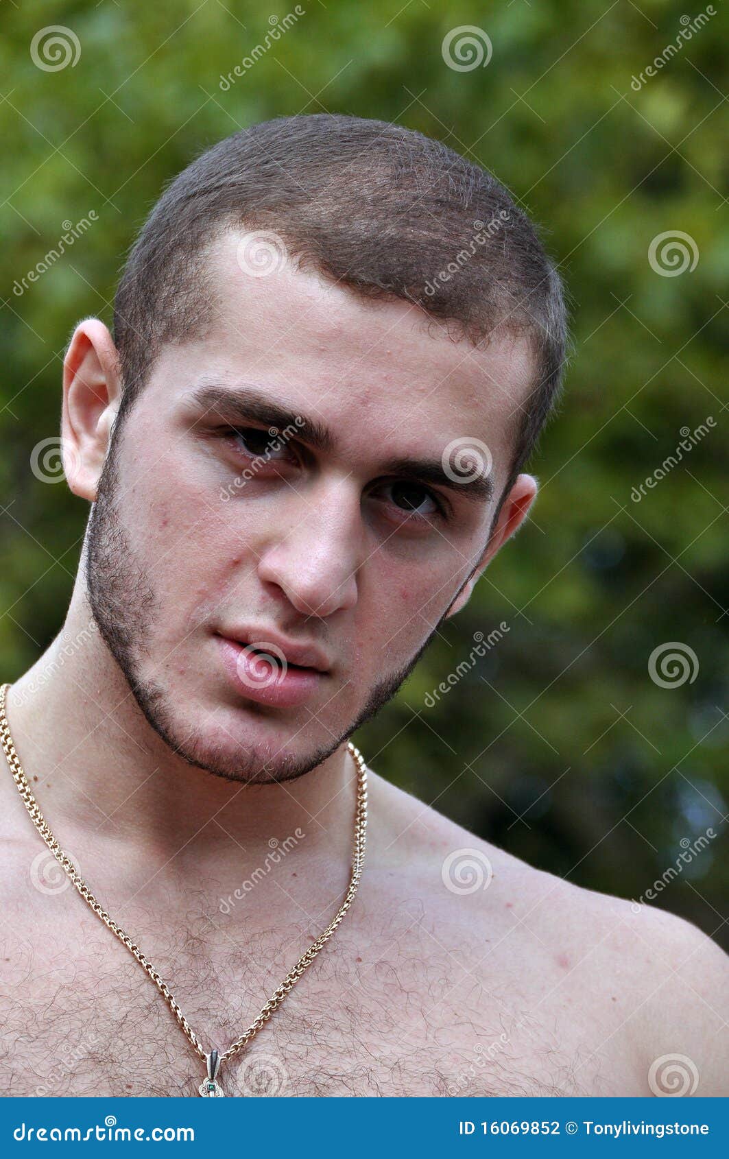 Young man portrait stock photo. Image of look, young - 16069852
