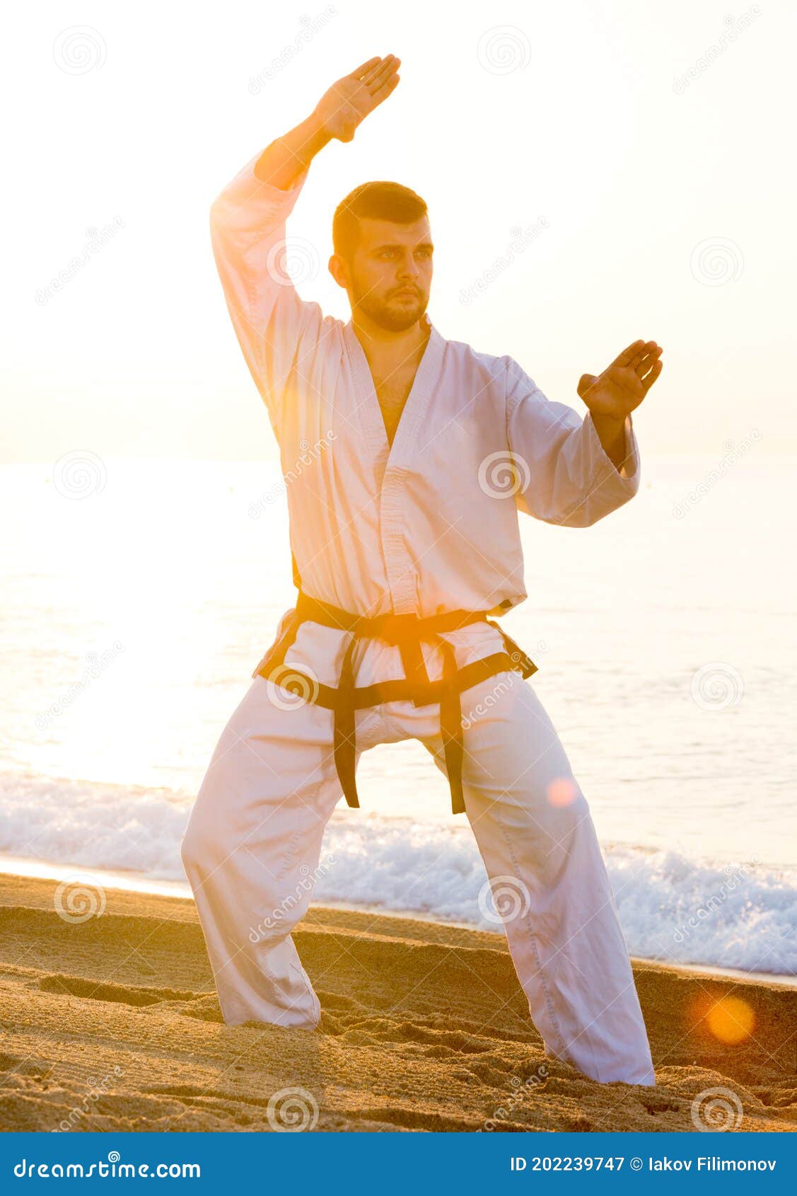 Young Man Practicing Karate Positions Stock Image - Image of dawn ...