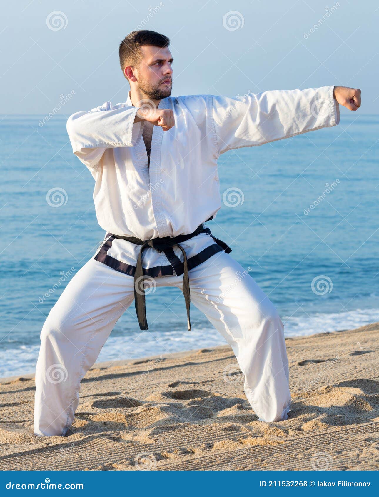 Young Man Practicing Karate Positions Stock Photo - Image of health ...