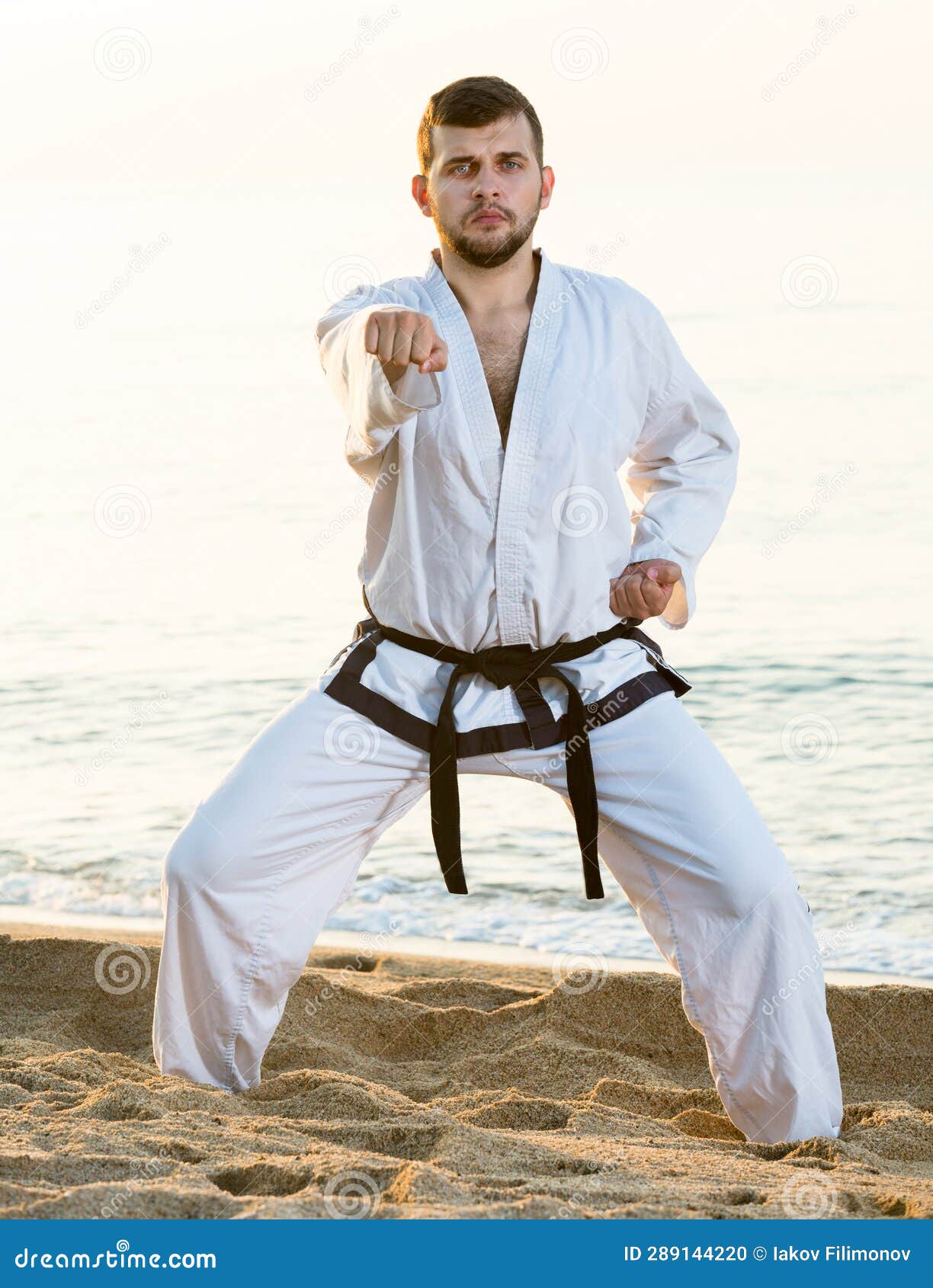 Young Man Practicing Karate Positions Stock Photo - Image of fighting ...