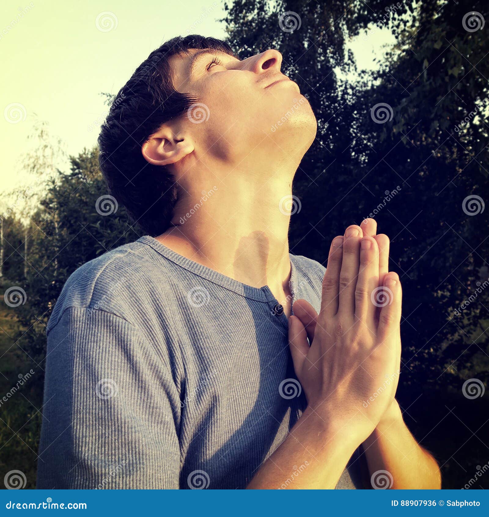 Young Man Praying stock photo. Image of forest, male - 88907936