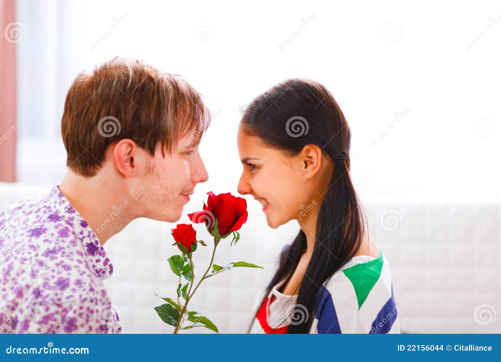 Young Man Presenting a Flower To His Girlfriend Stock Photo - Image of ...